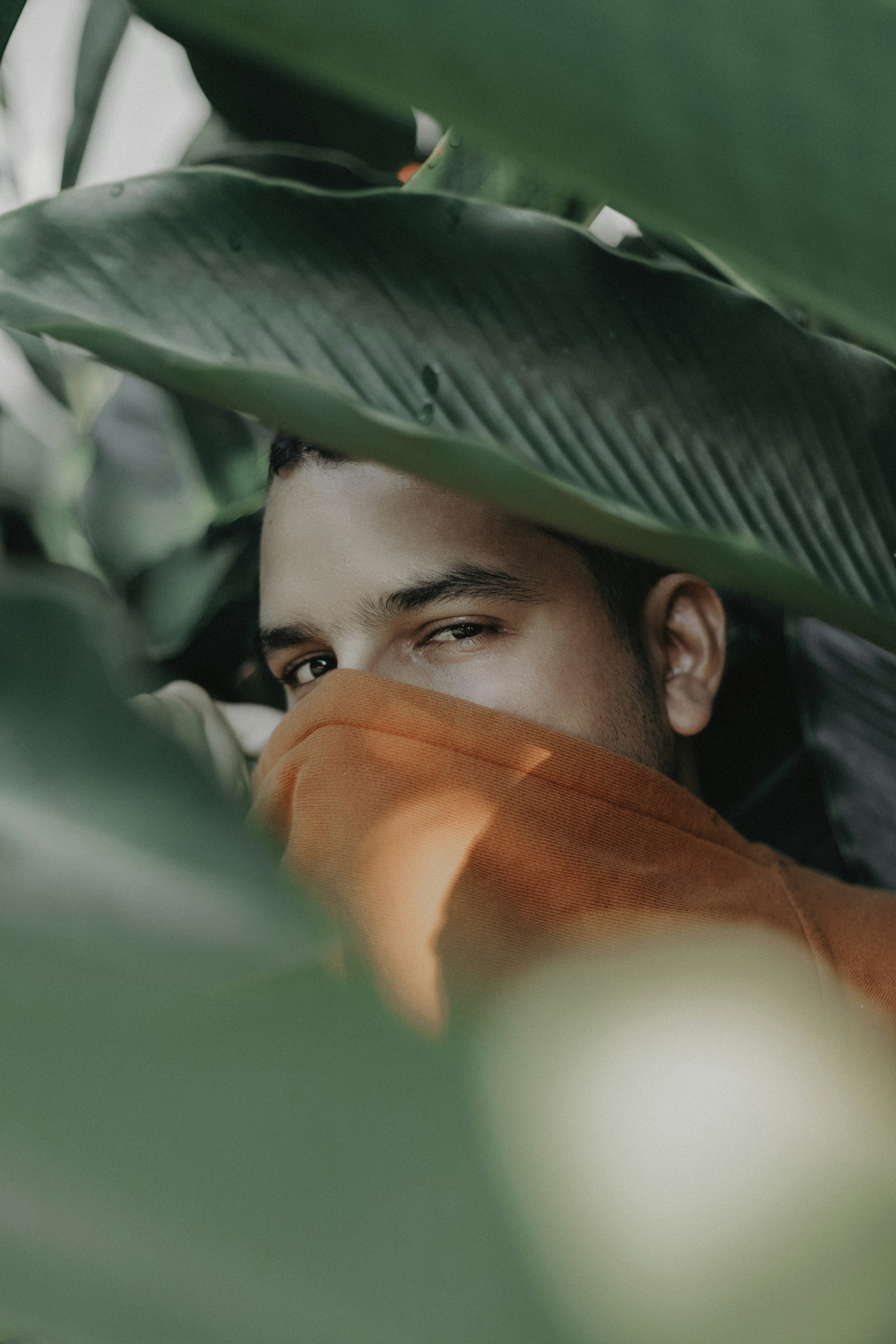 A young man partially hidden behind large green leaves, peering out with a thoughtful expression. His orange garment contrasts with the lush foliage.