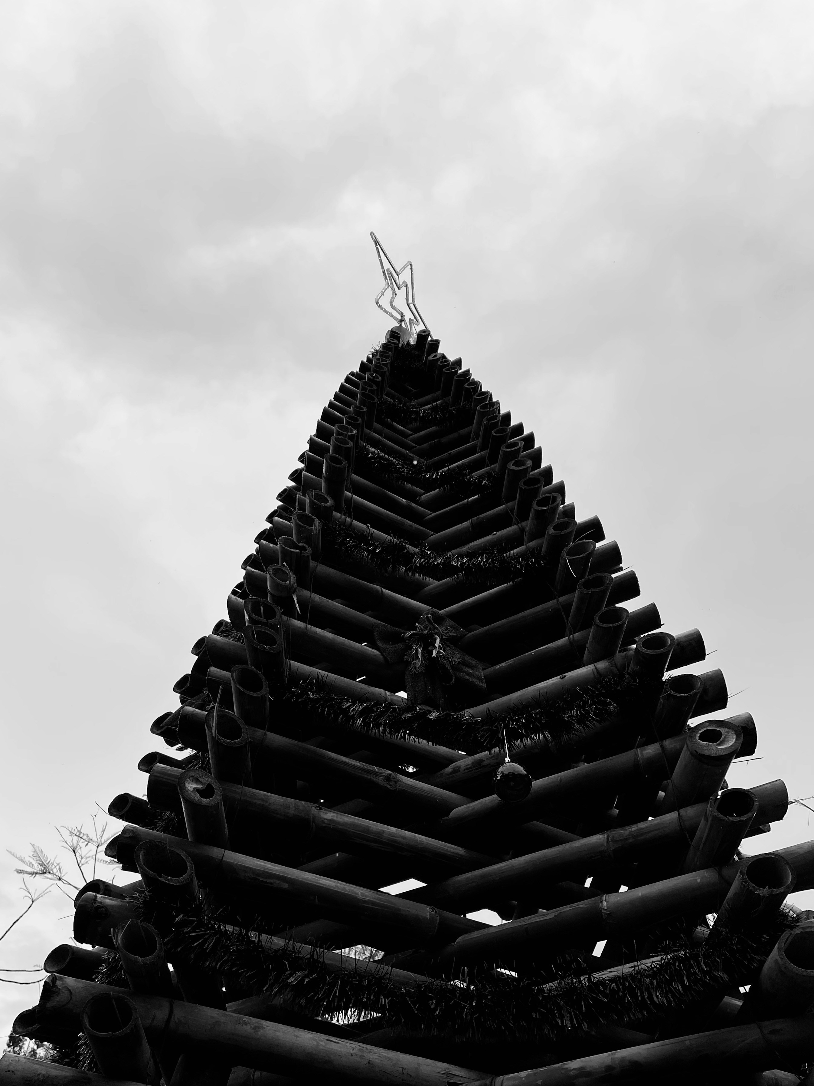 Christmas bamboo