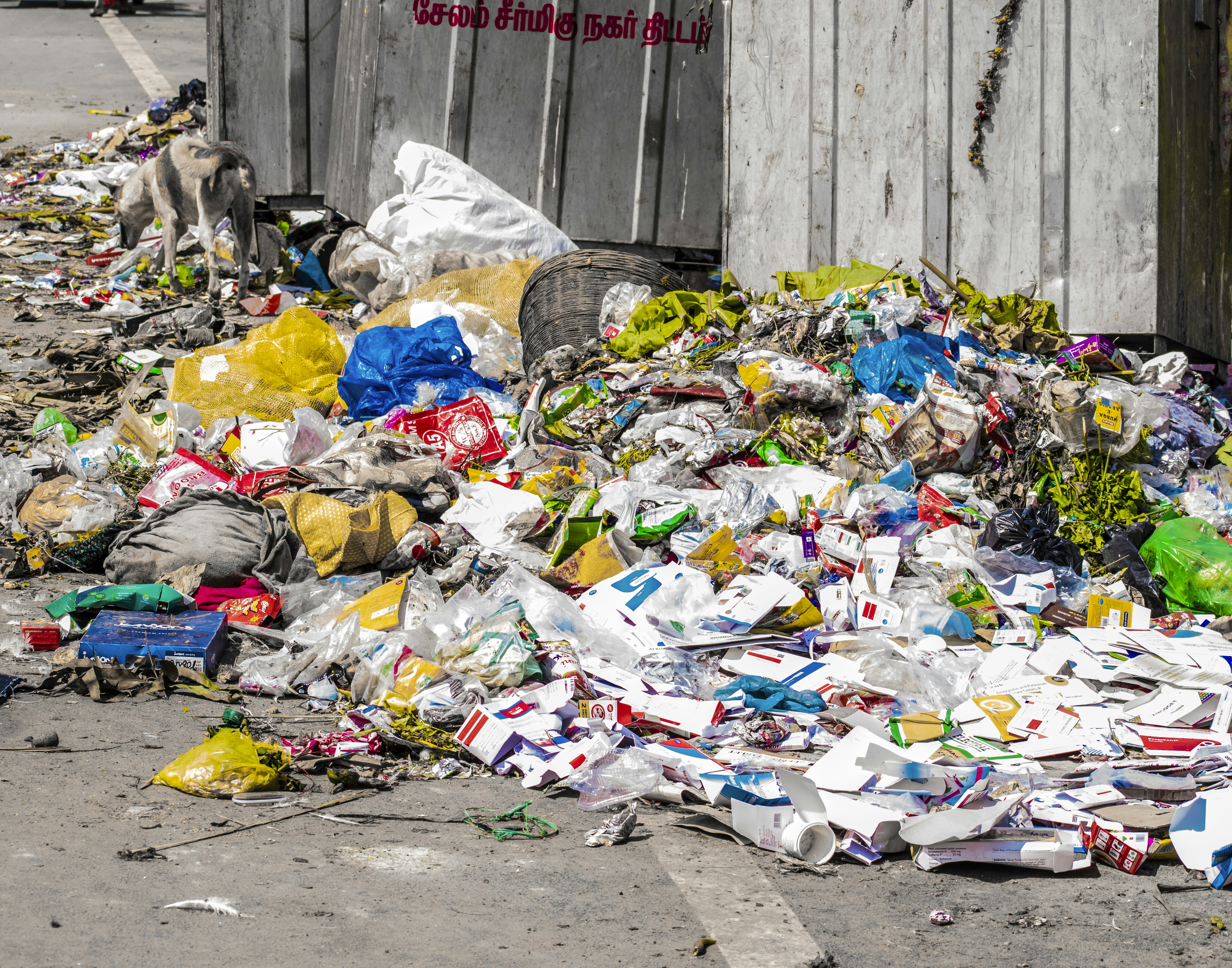 A chaotic accumulation of waste on a city street, showcasing discarded plastics, food wrappers, and organic debris. A stray dog navigates through the debris.
