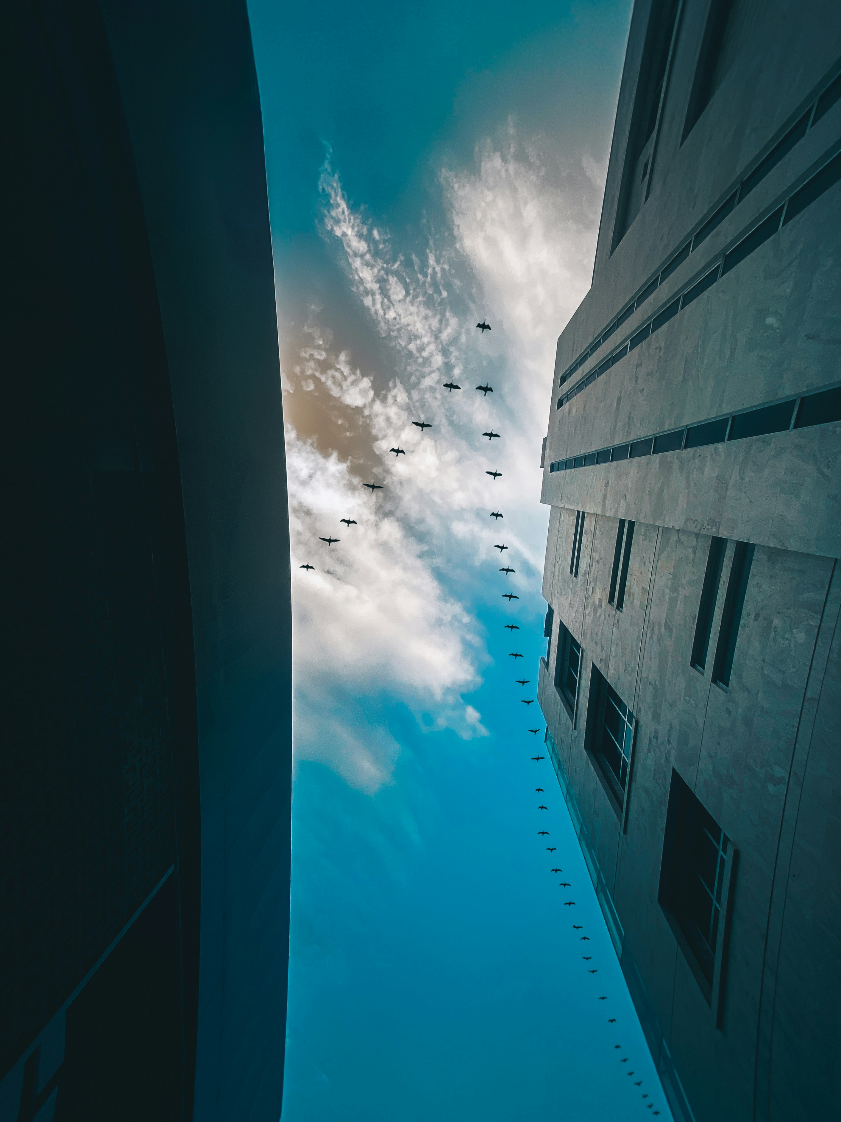 V-Formation Over a Concrete Canyon