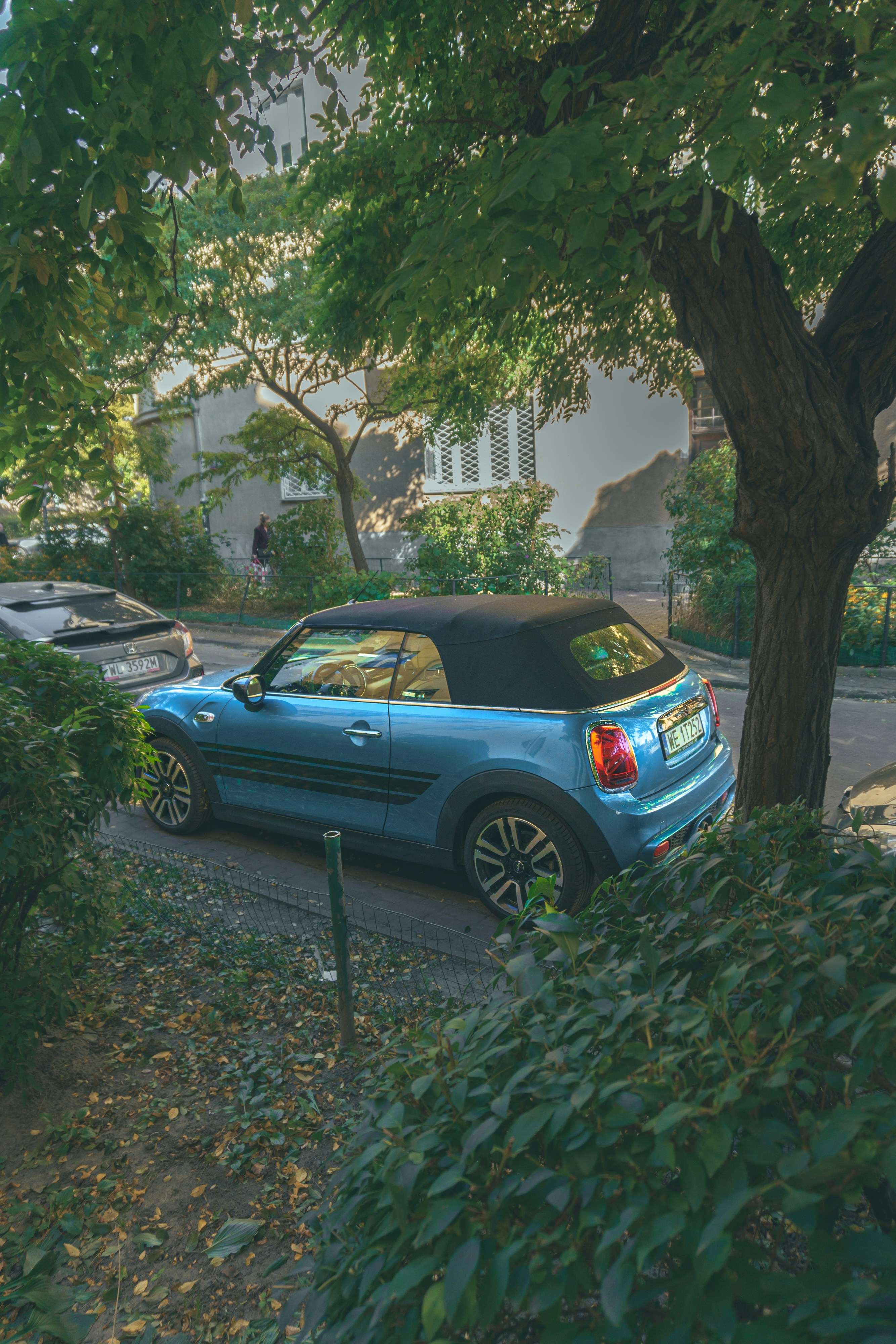 Blue Mini Cooper Convertible in a Canopy of Streetlight and Leaves