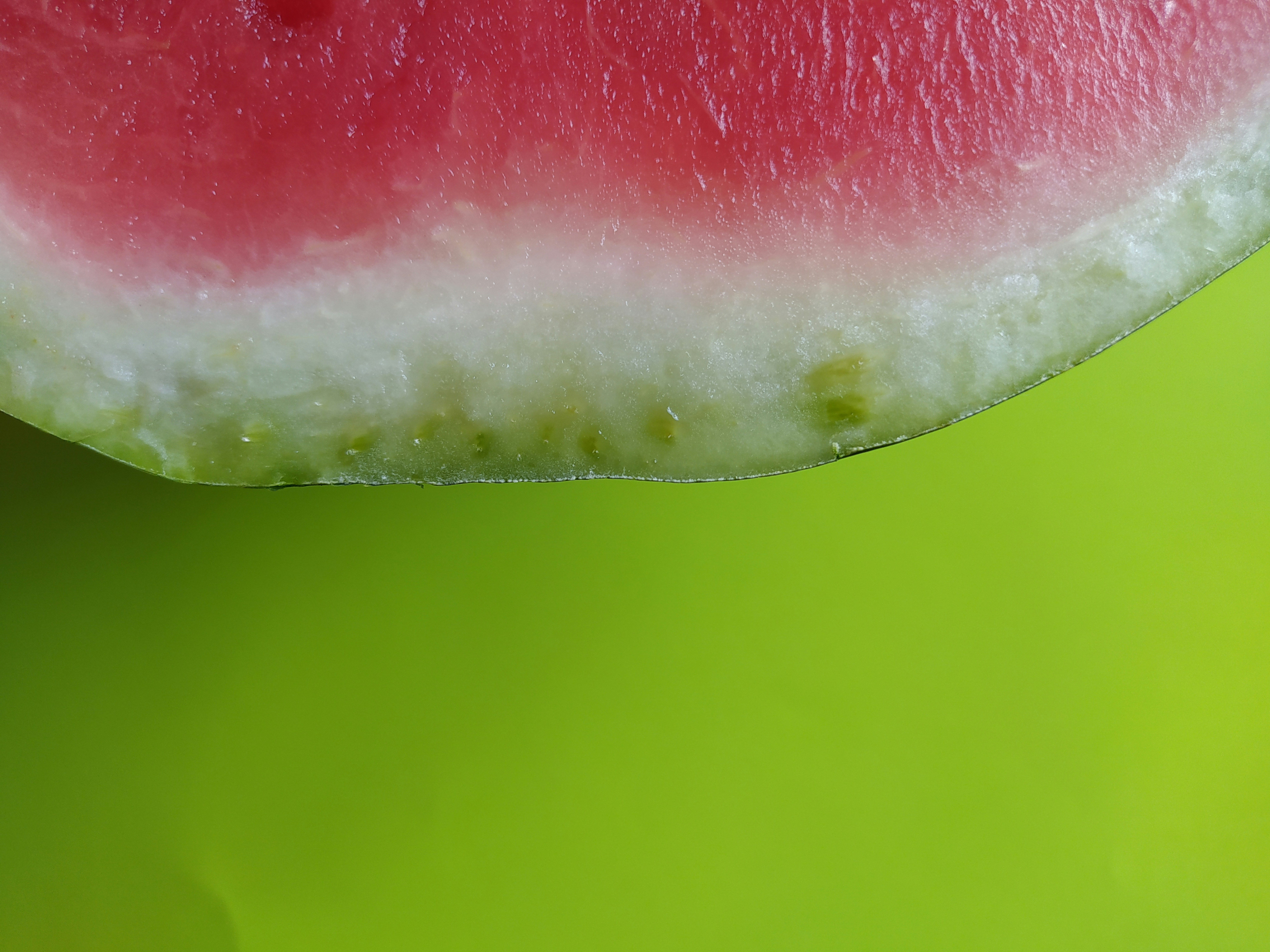 Watermelon Color Palette Pictures | Download Free Images on Unsplash