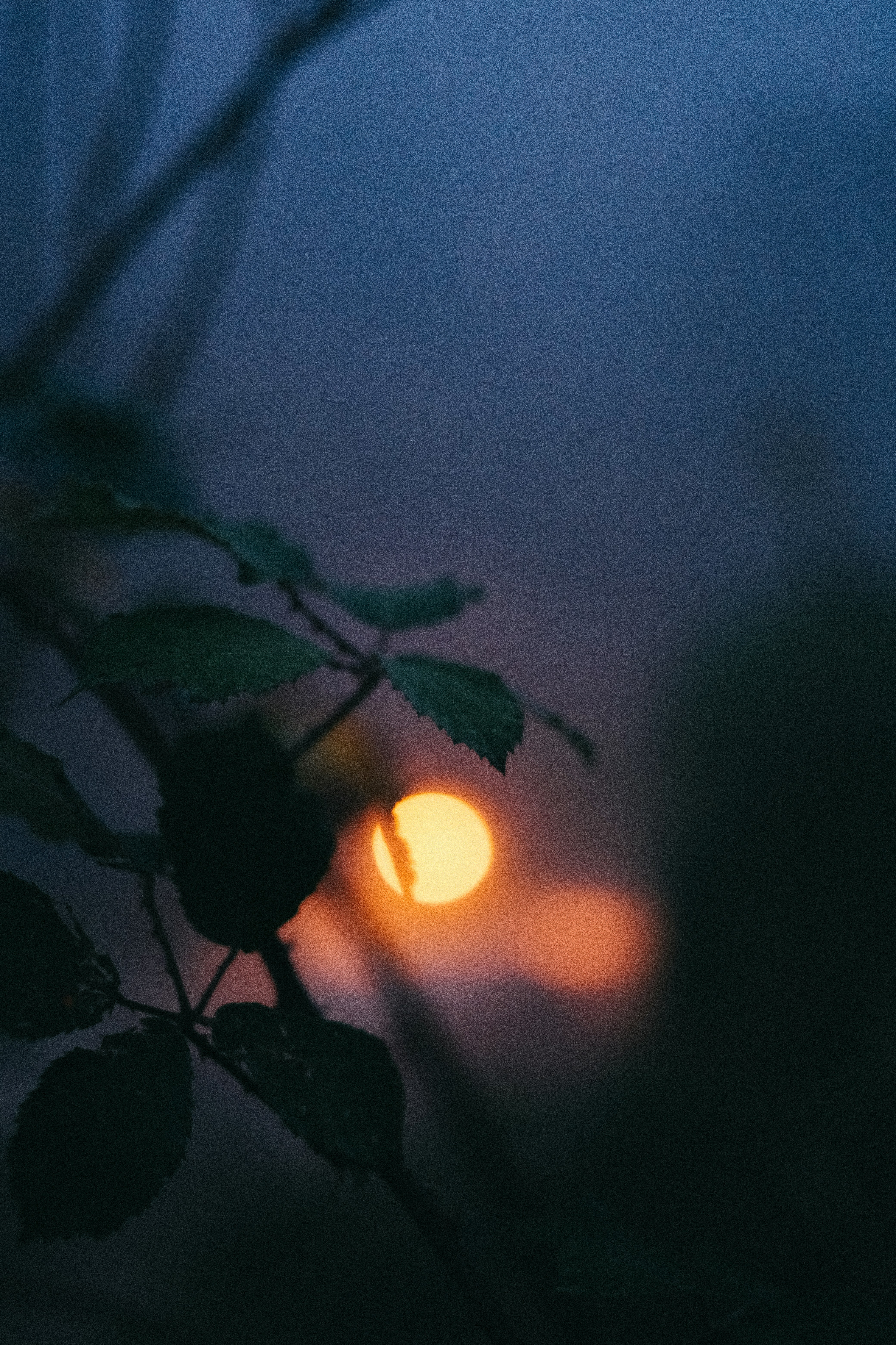 Photo by peter bucks with Fujifilm X-T4