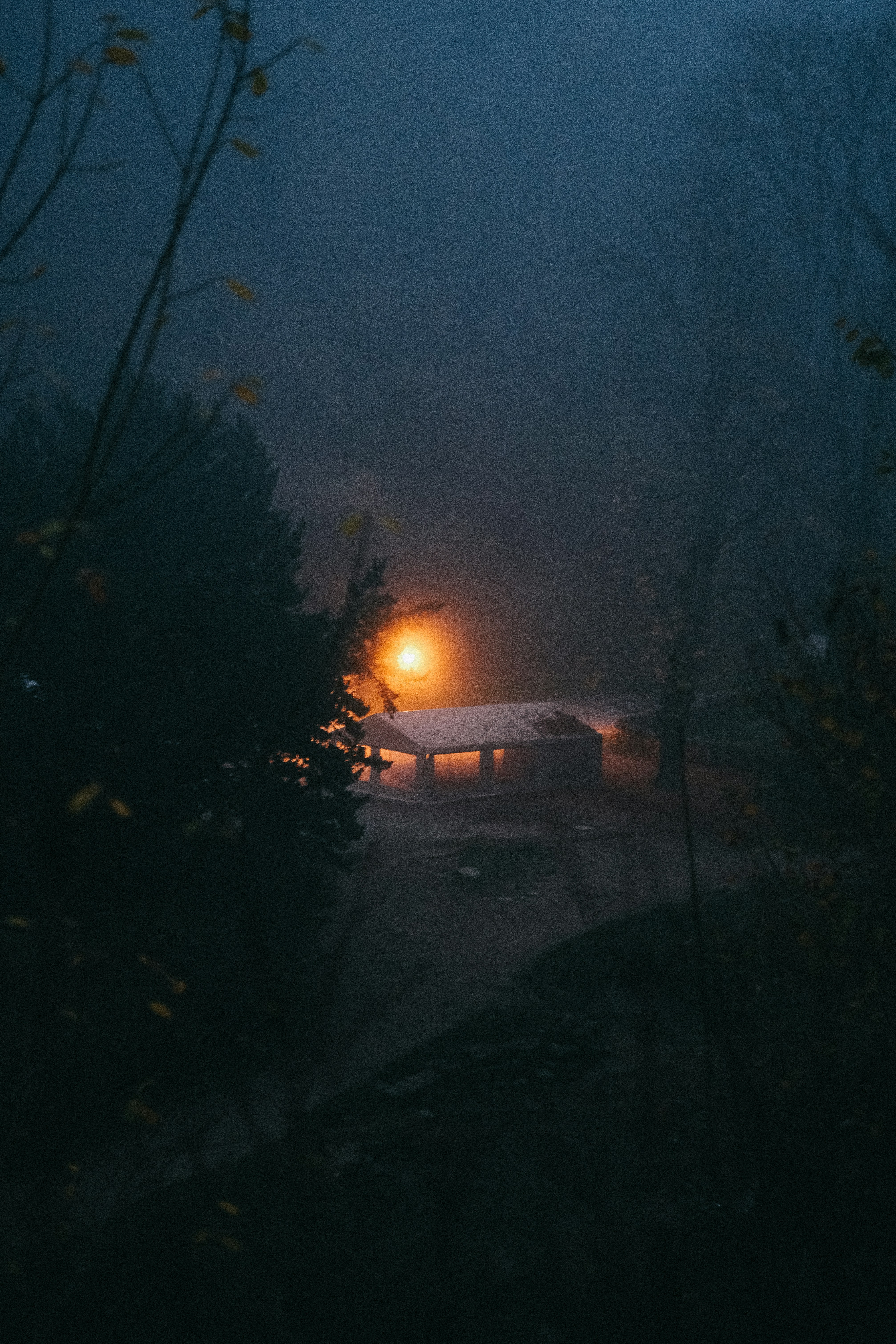 Amber Lantern in the Mist: Quiet Forest Shelter Under Night Fog