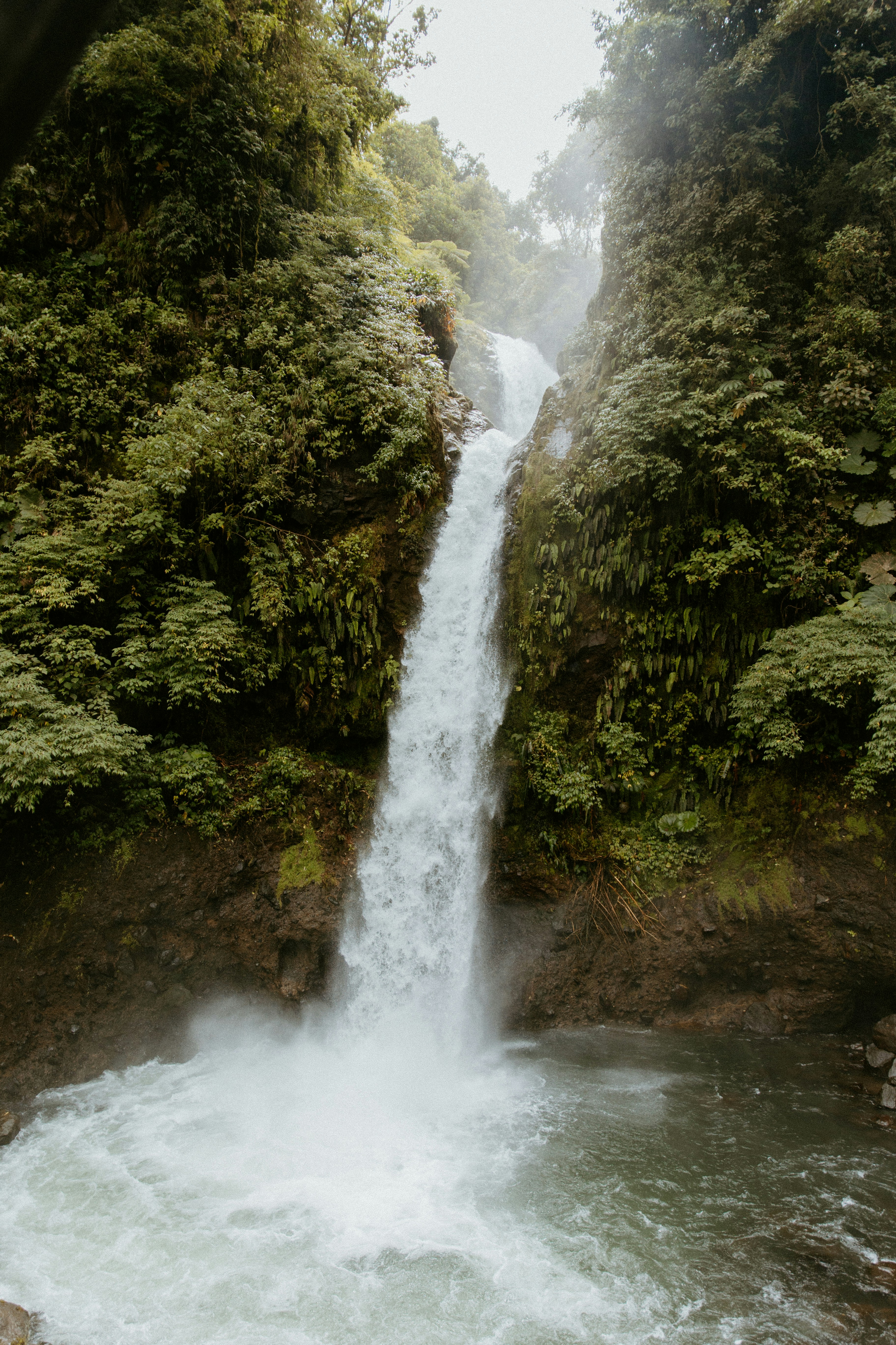 A majestic waterfall cascading down lush green cliffs, surrounded by dense foliage and mist. The scene captures the serene beauty of nature's flow.