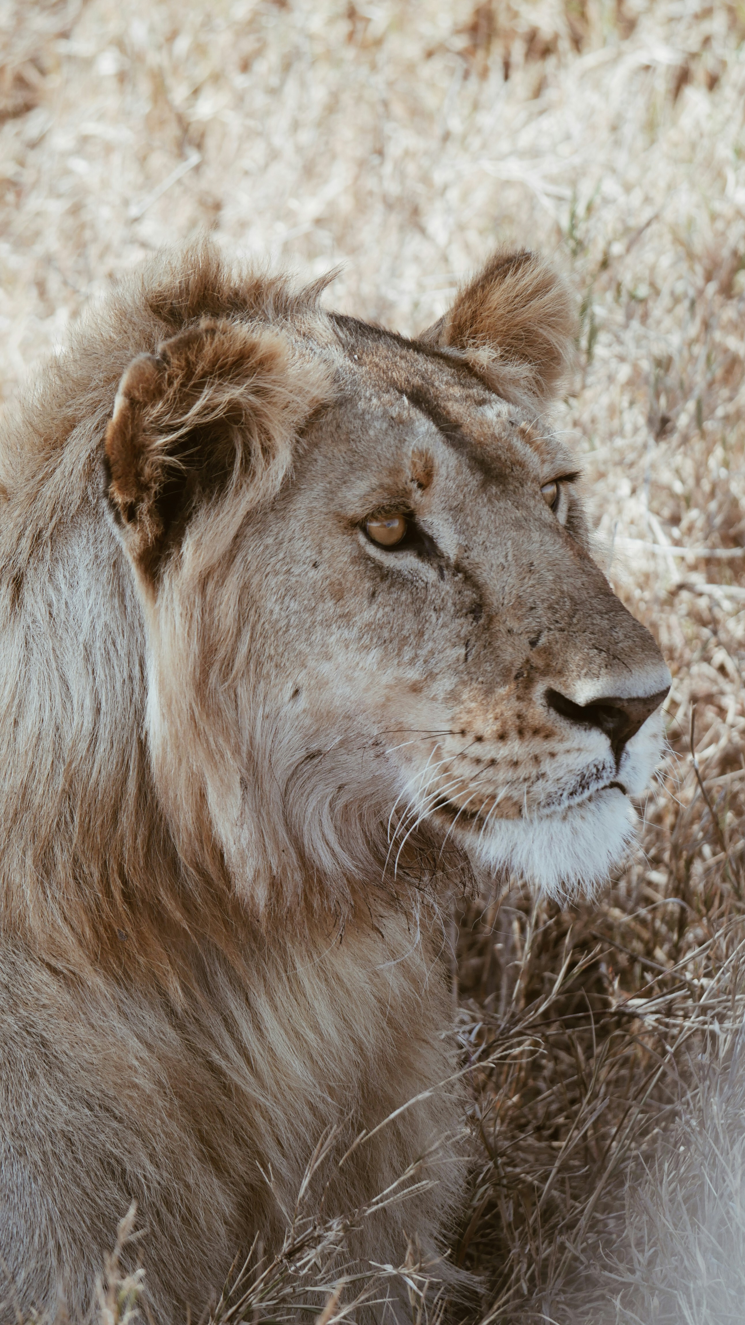 Photo by Maurits Bausenhart with Panasonic Lumix DMC-G70