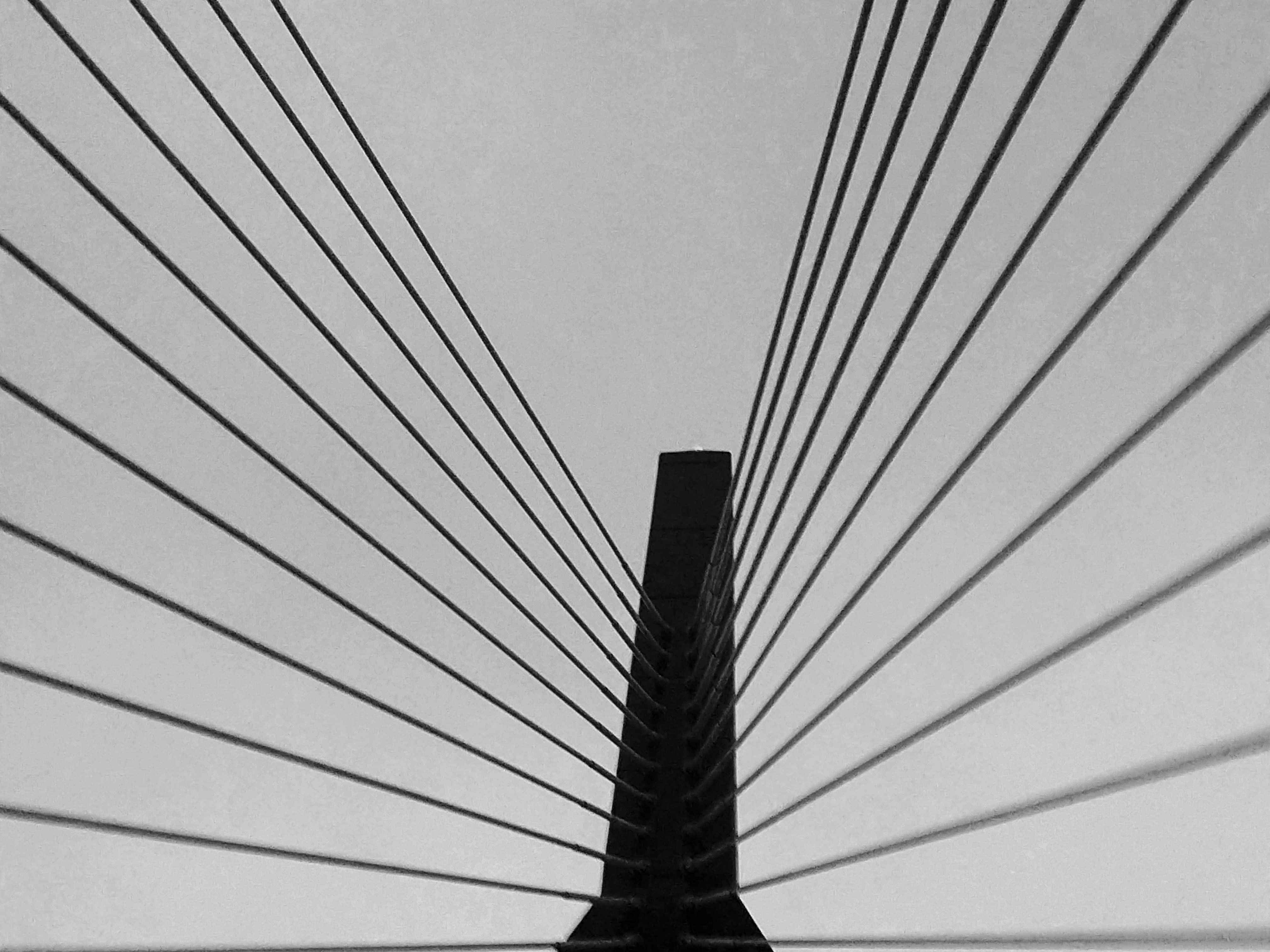 Monochrome Convergence: The Silent Symphony of a Cable-Stayed Pylon