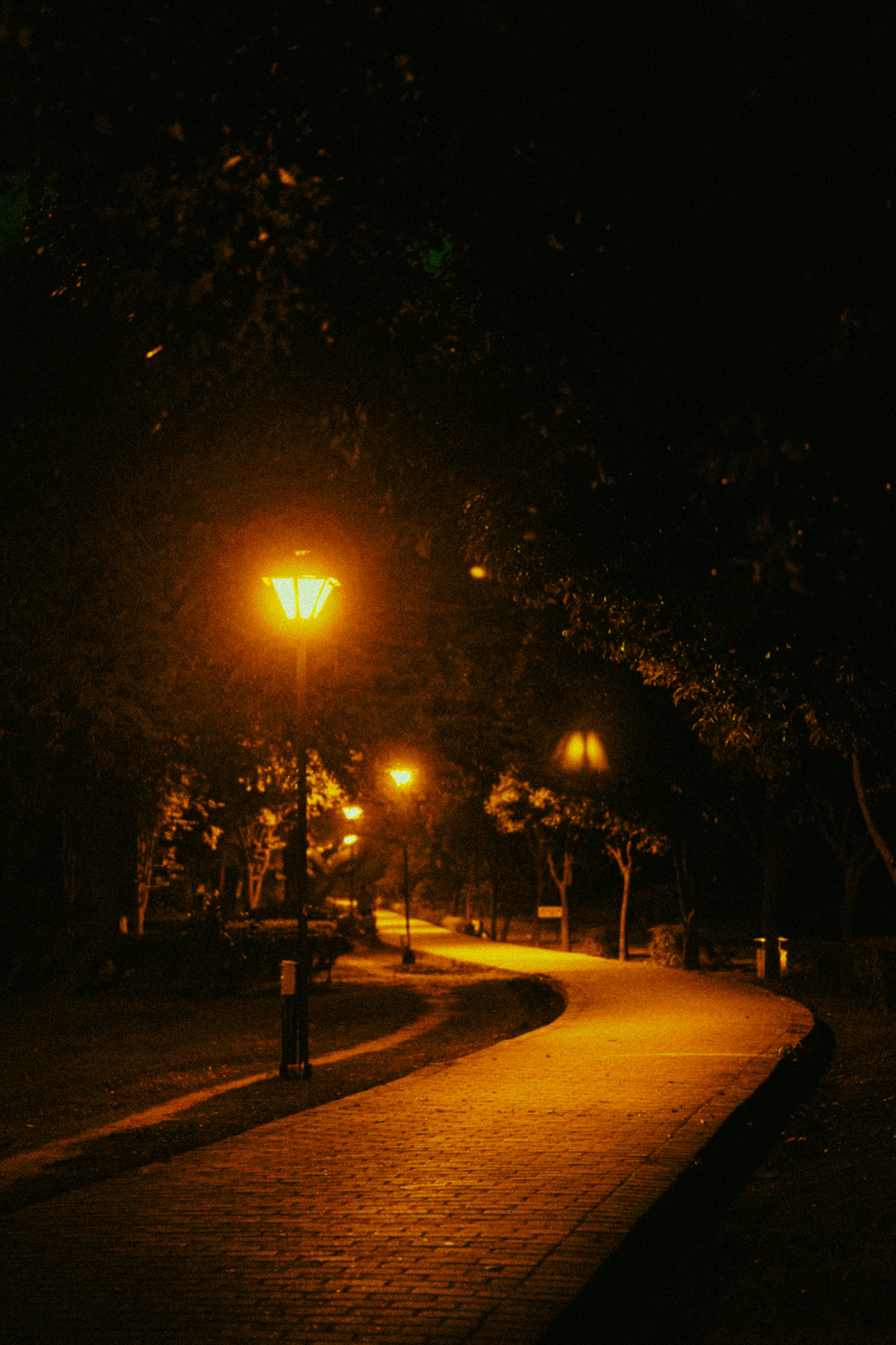 Golden Pathway: Lanterns Guiding Through Night