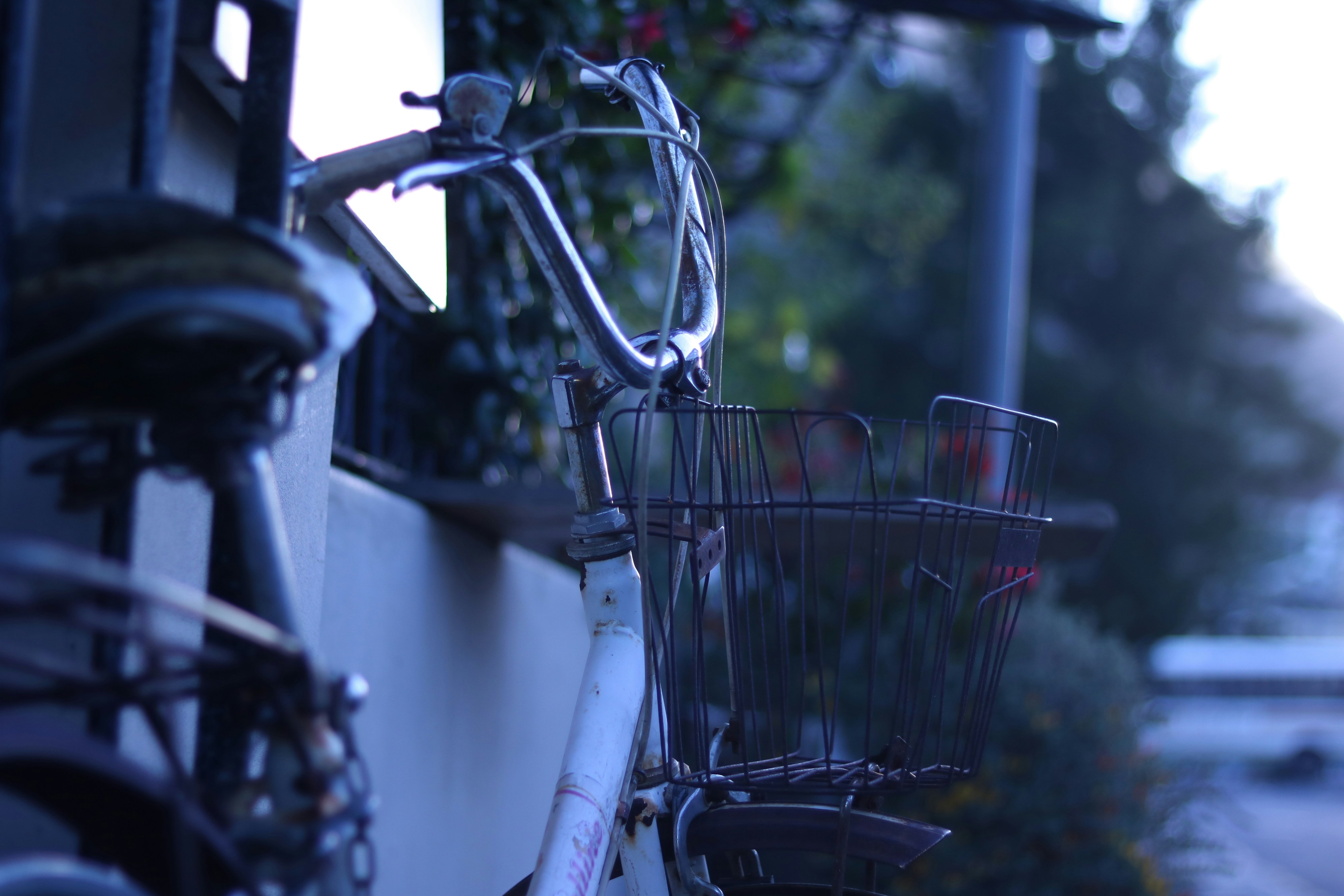 Blue Hour Bicycle: A Quiet Frame by the Wall