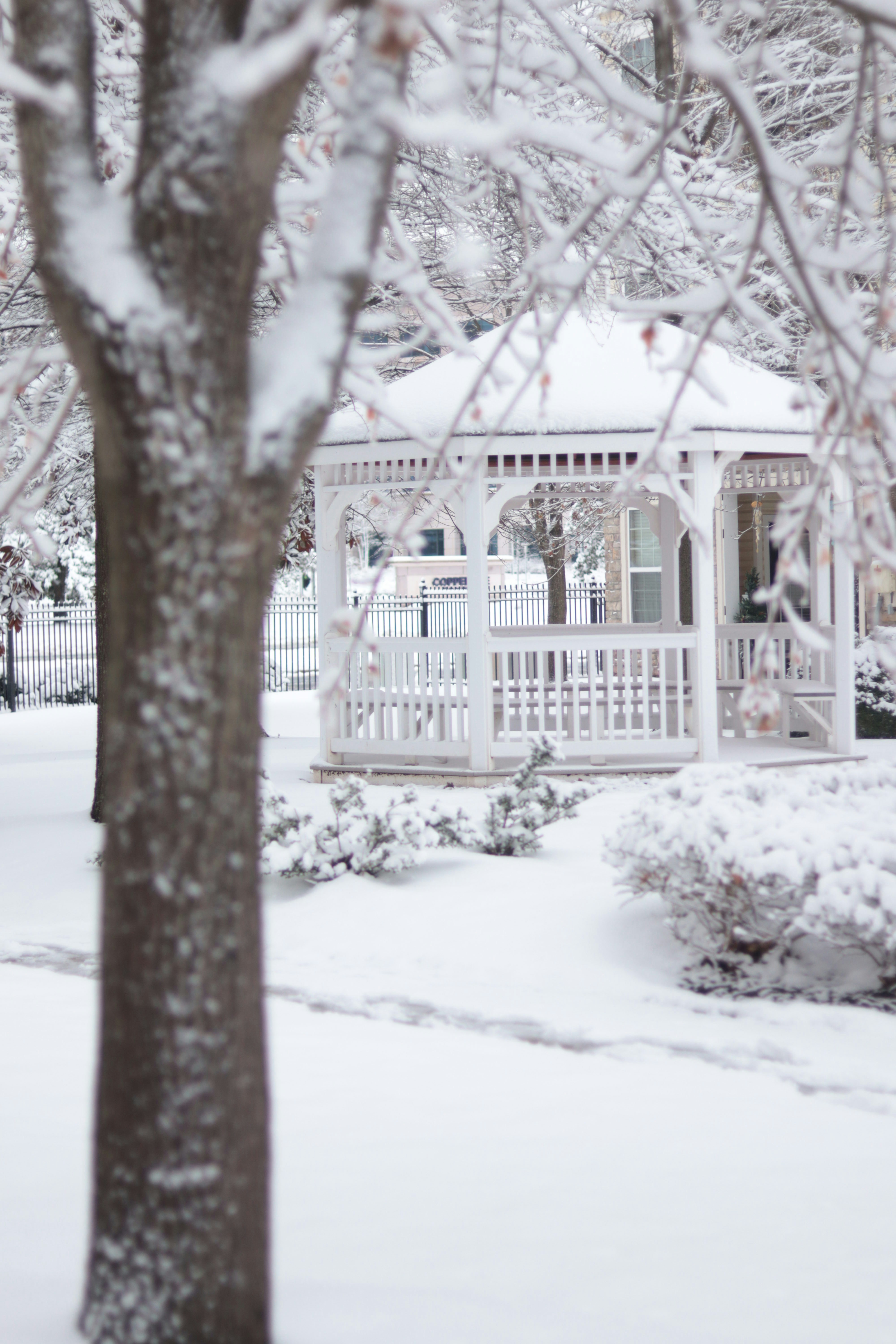 A gazebo in the middle of a snowy yard photo – Free Va Image on Unsplash