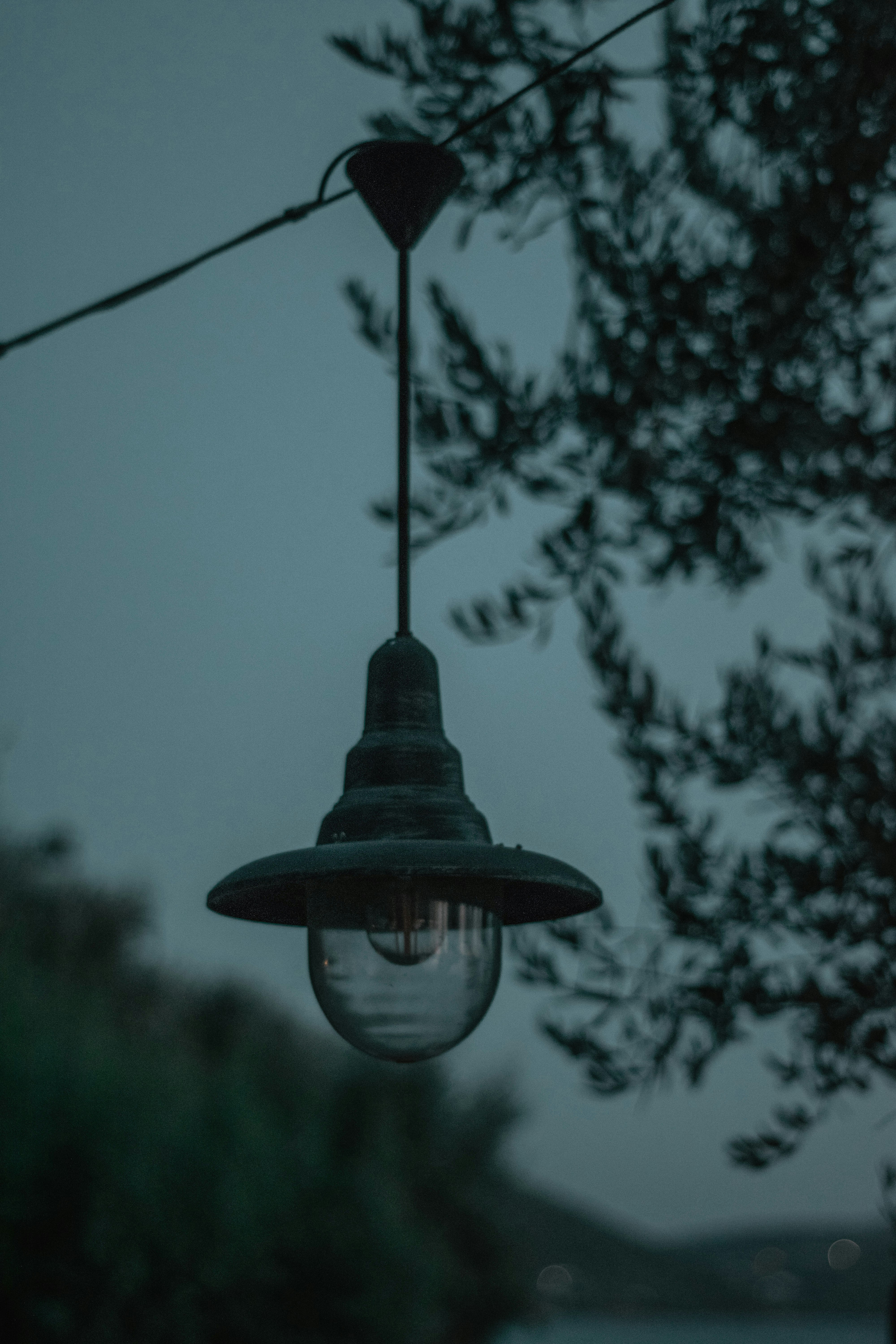 A vintage-style lantern hangs from a wire, casting a soft glow amidst silhouetted foliage at twilight.