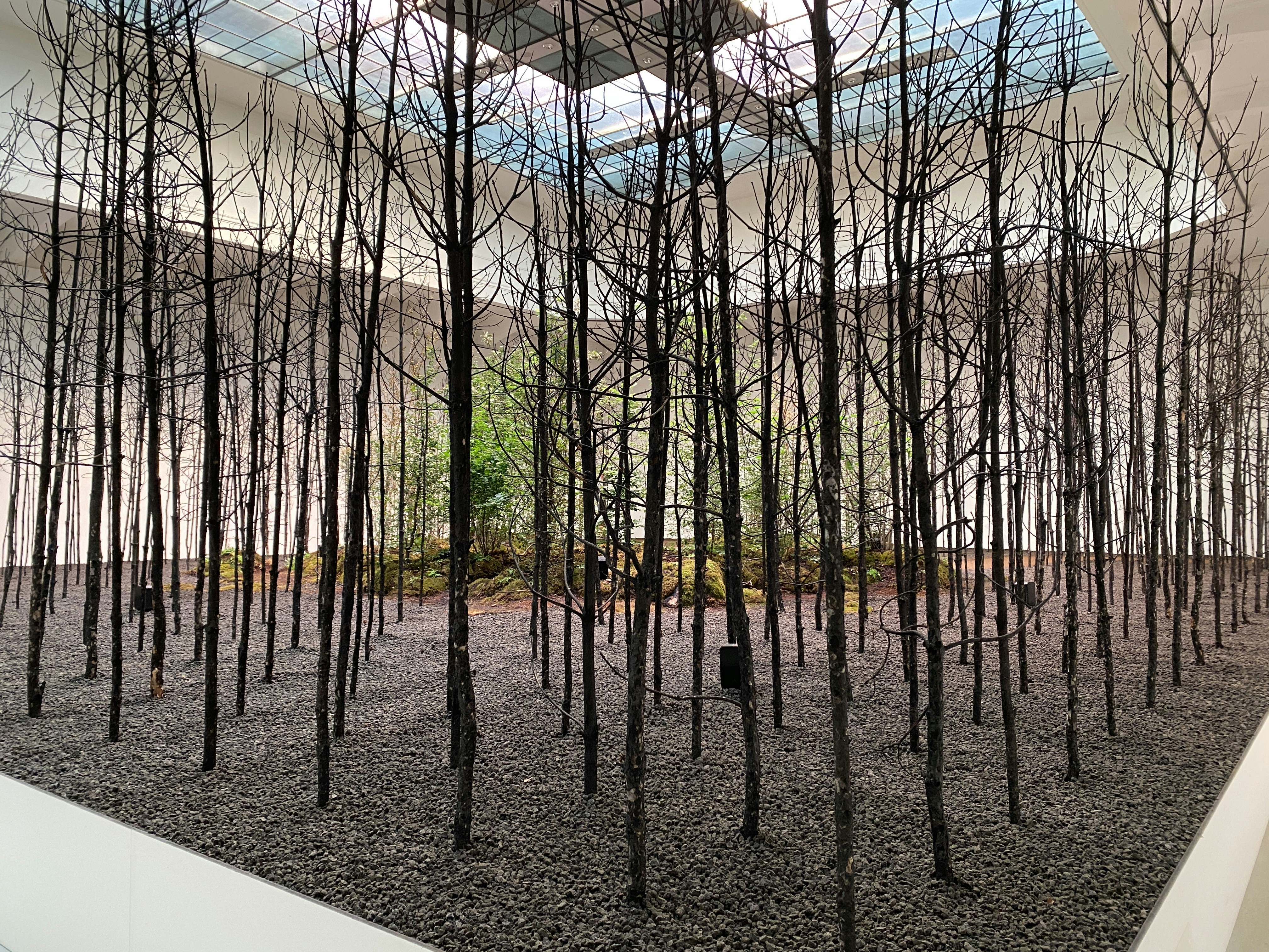 Atrium Grove: A Quiet Forest in a Glass Hall