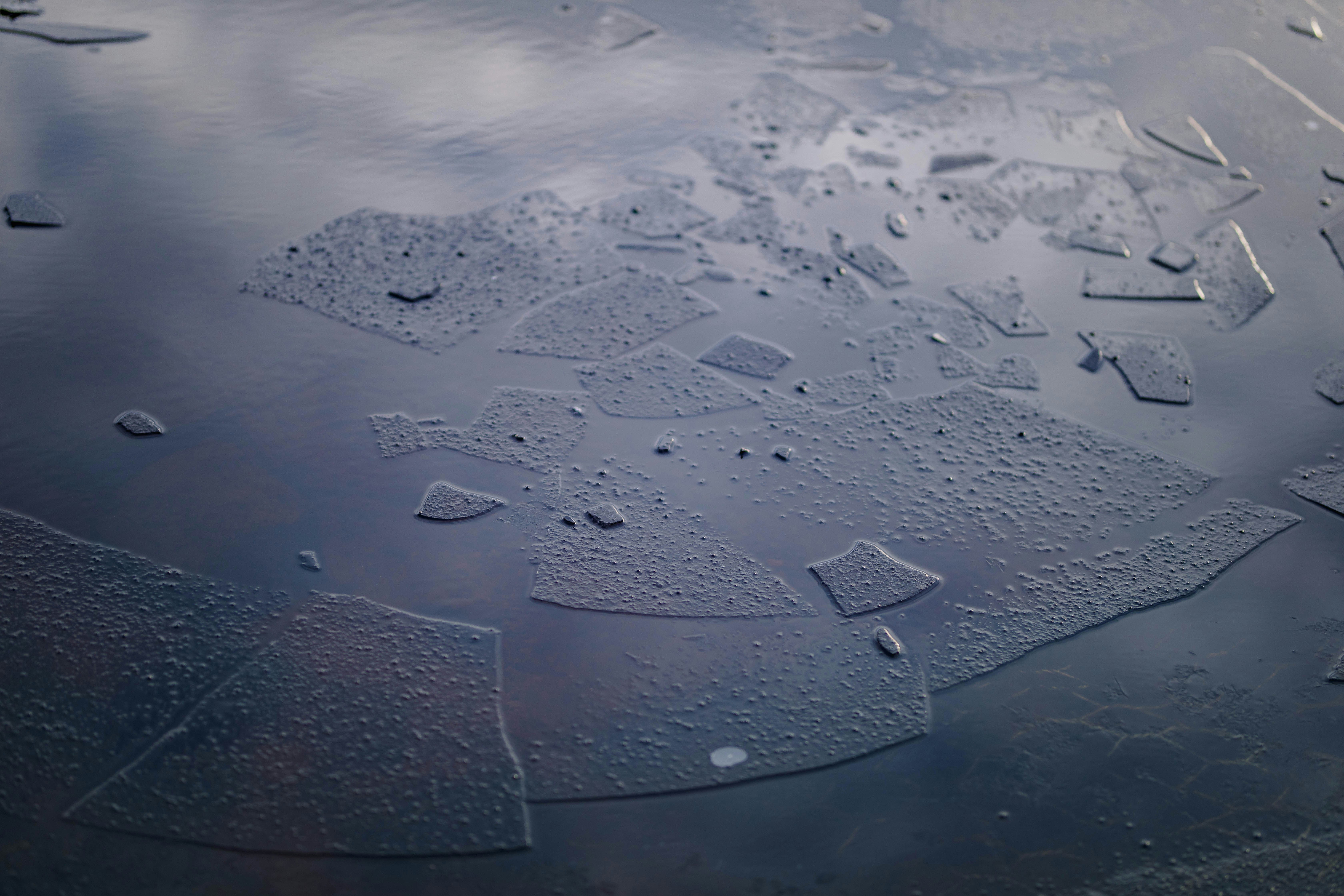 Shards of ice float serenely on a still water surface, reflecting the muted colors of a winter sky.