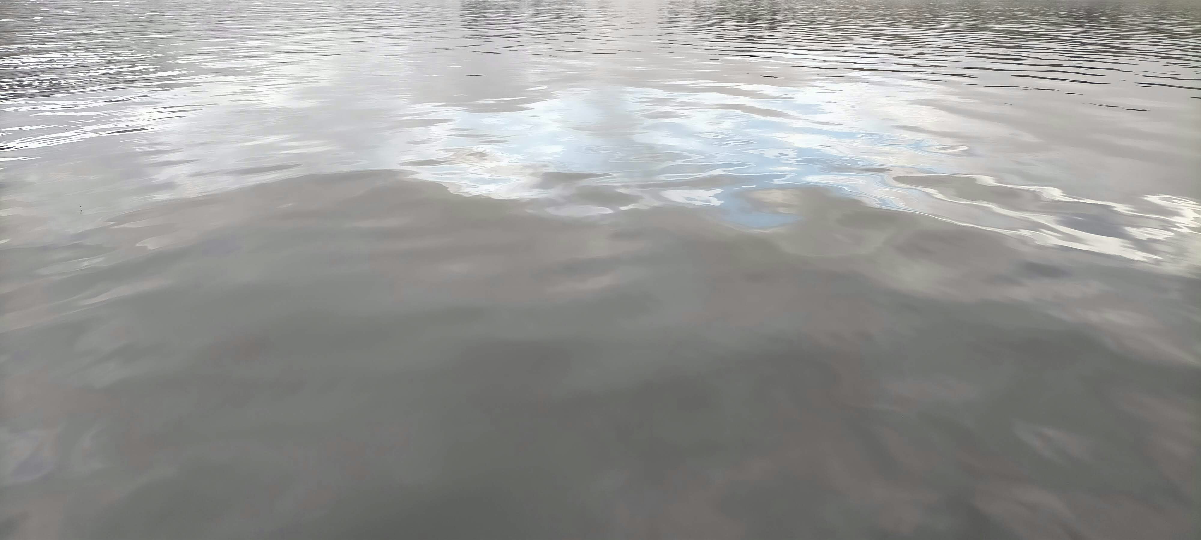 Gentle ripples on a calm water surface reflect a soft sky, creating a tranquil scene.