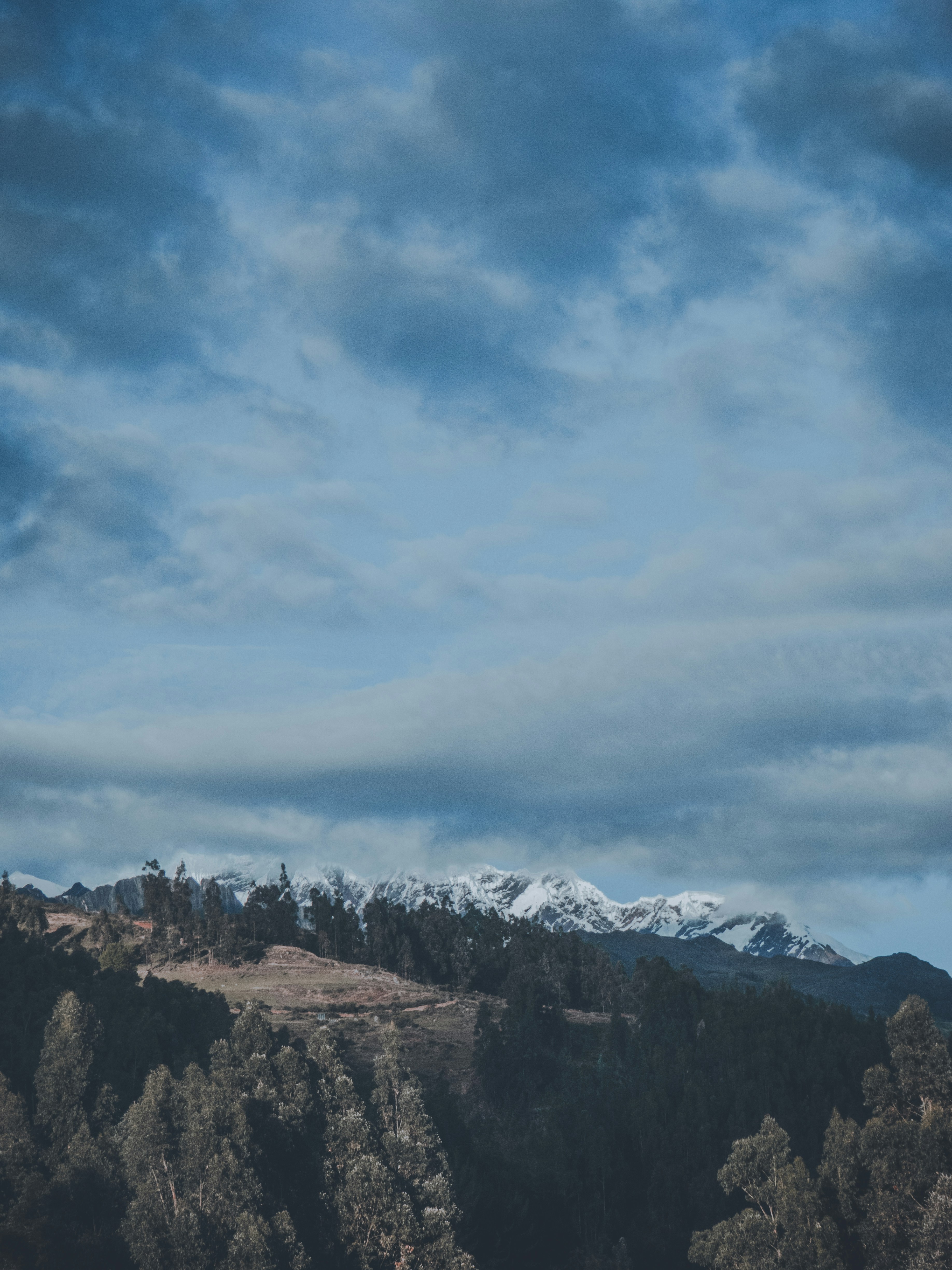 Snow-capped mountains under a cloudy sky with lush trees in the foreground.