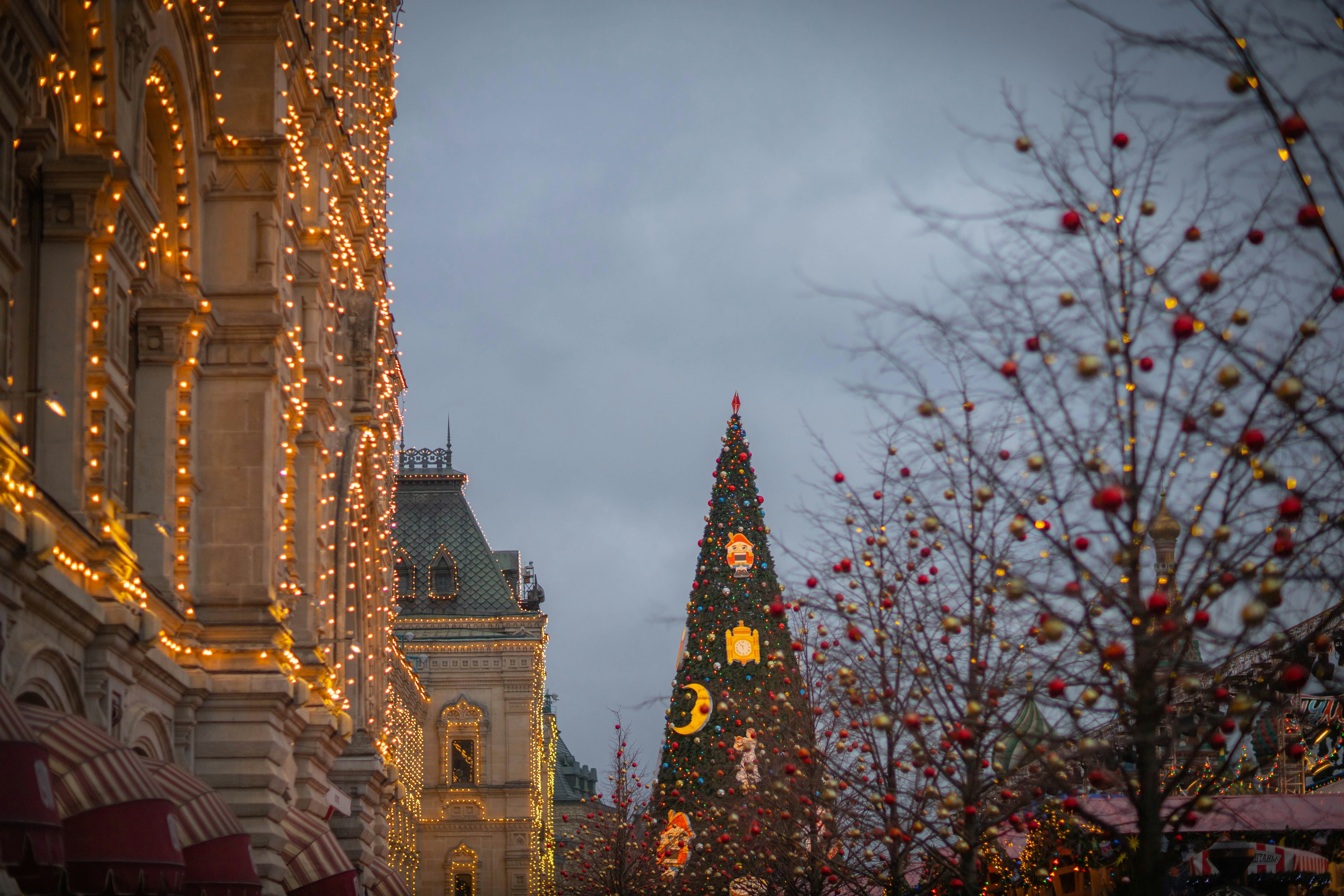 Twinkling Facade and Grand Christmas Tree in a Festive City Street