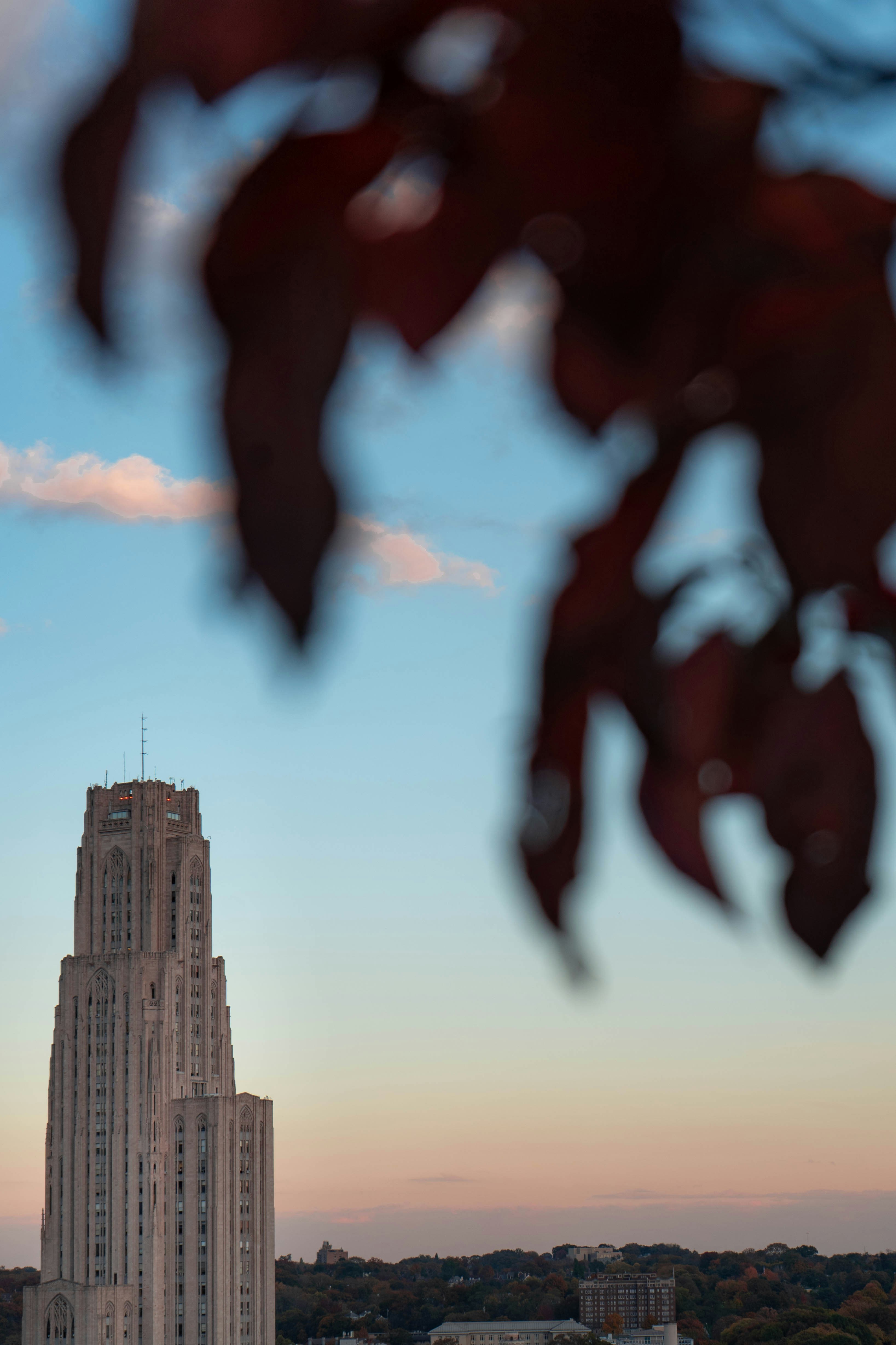 A very tall building with a clock tower in the background photo – Free ...