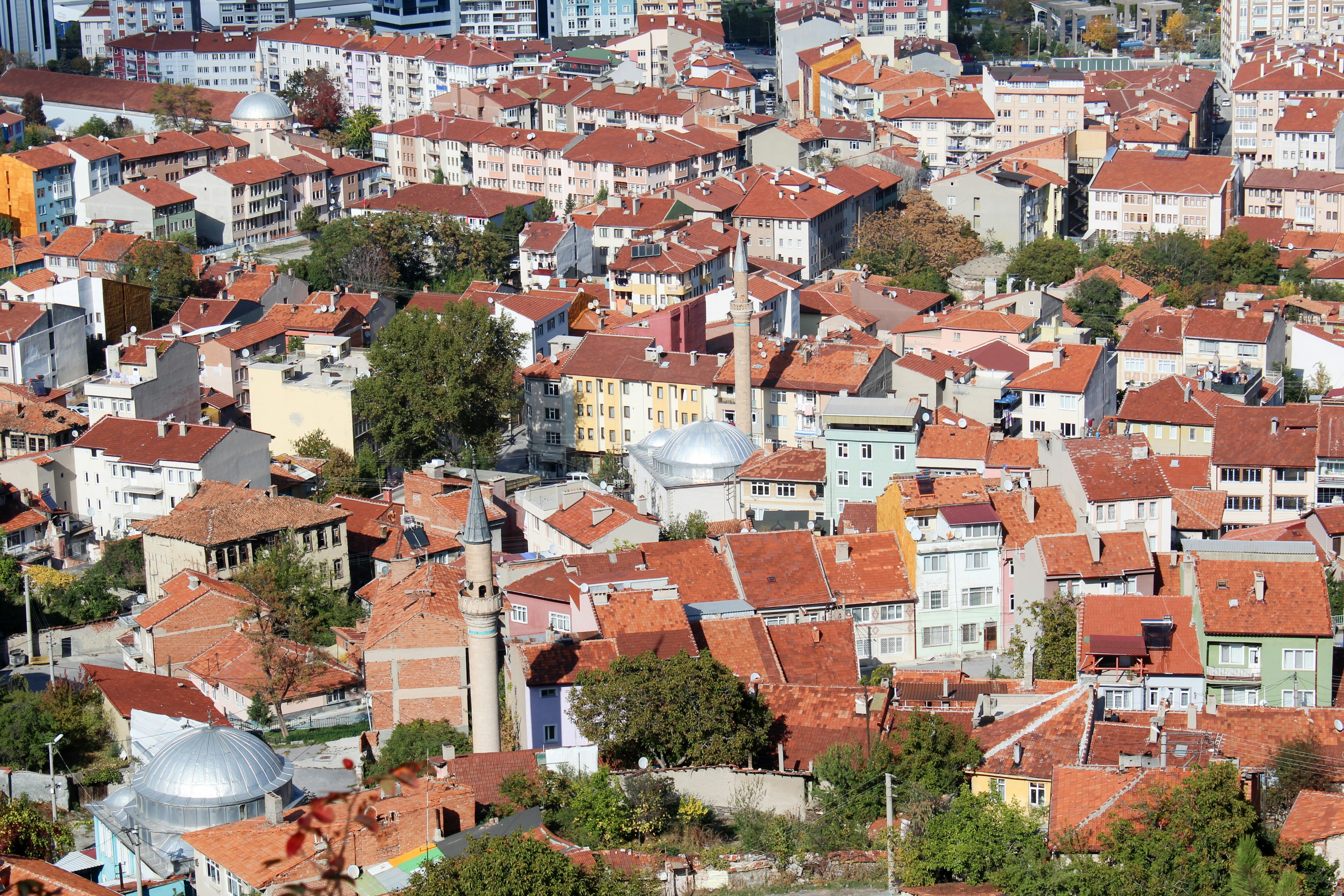 A view of a city with many red roofs photo – Free Roof Image on Unsplash