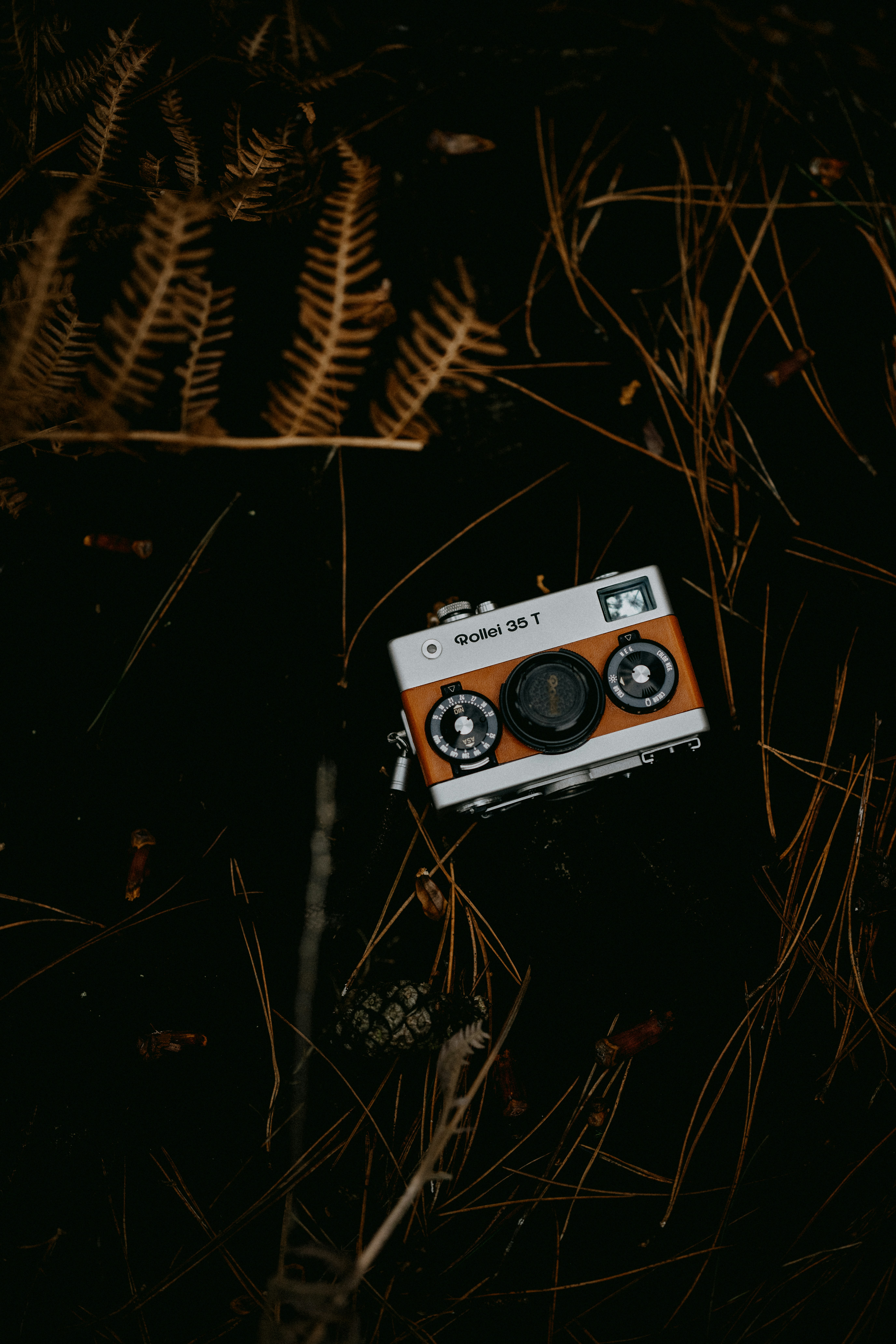 A Rollei 35 T camera rests on a bed of pine needles and dark earth, surrounded by ferns. The scene evokes nostalgia for classic photography.