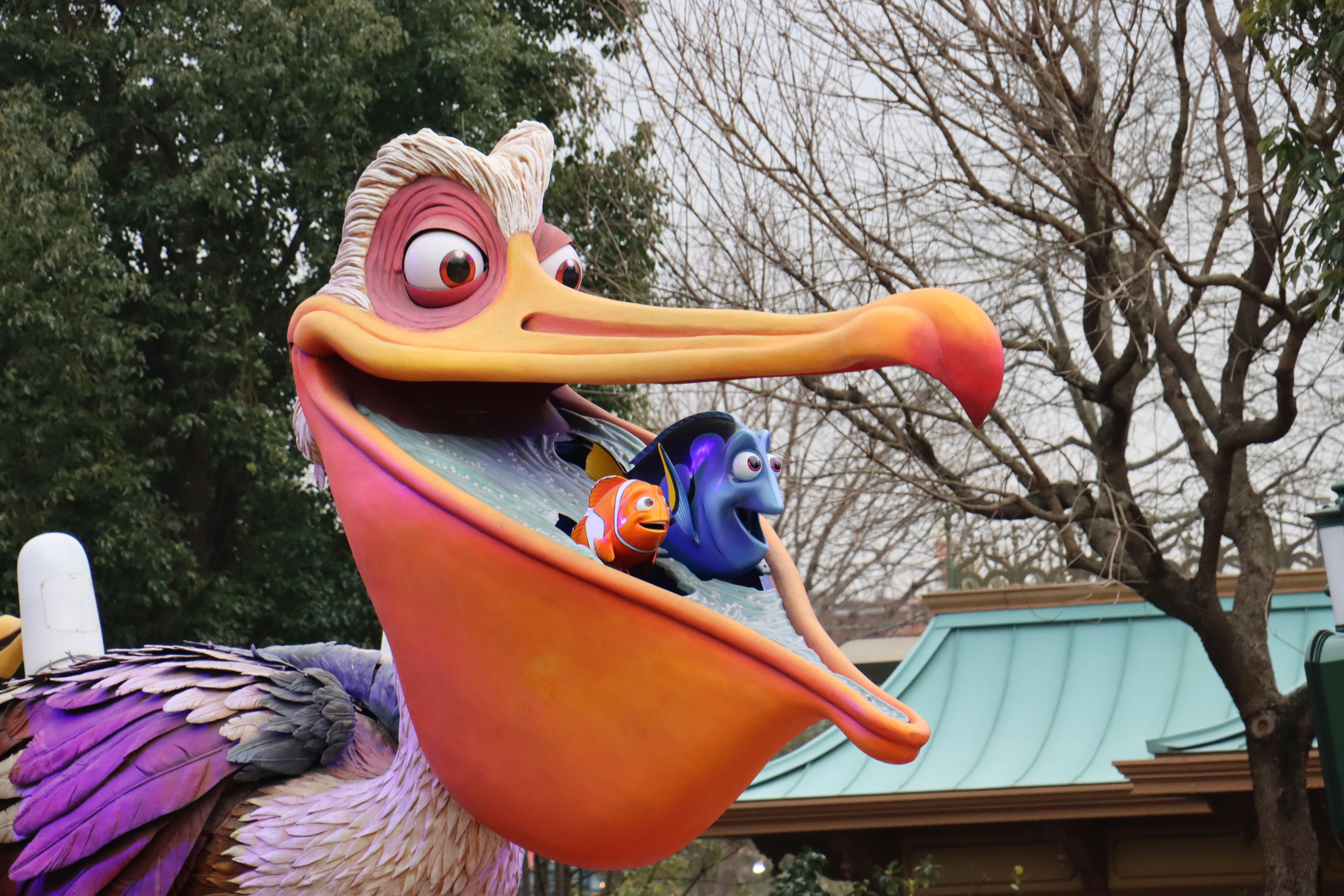 A float of a pelican with a fish in it's mouth photo – Free Nemo Image ...