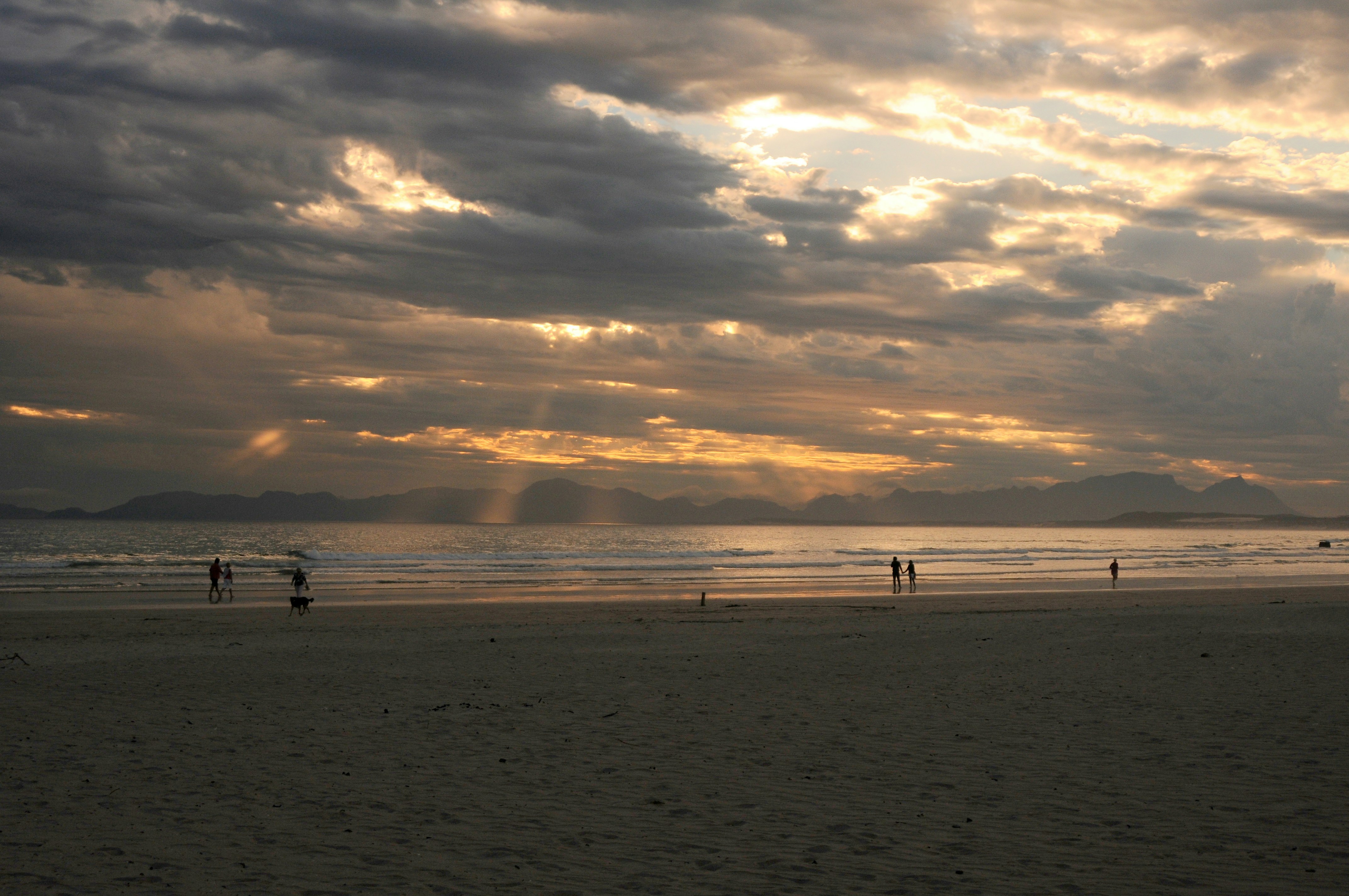 Golden Horizon: Evening Reflections