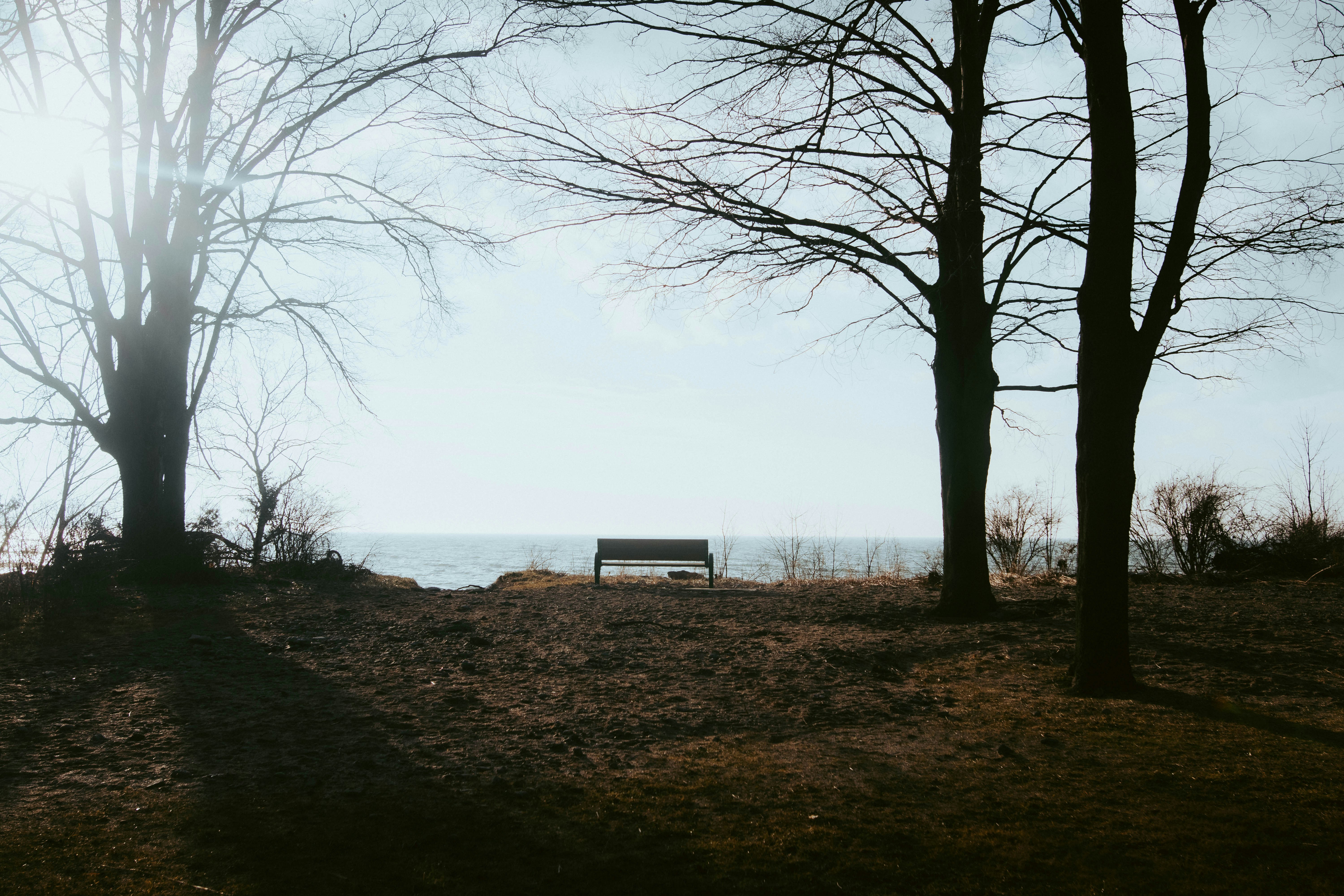 a park bench sitting in the middle of a field