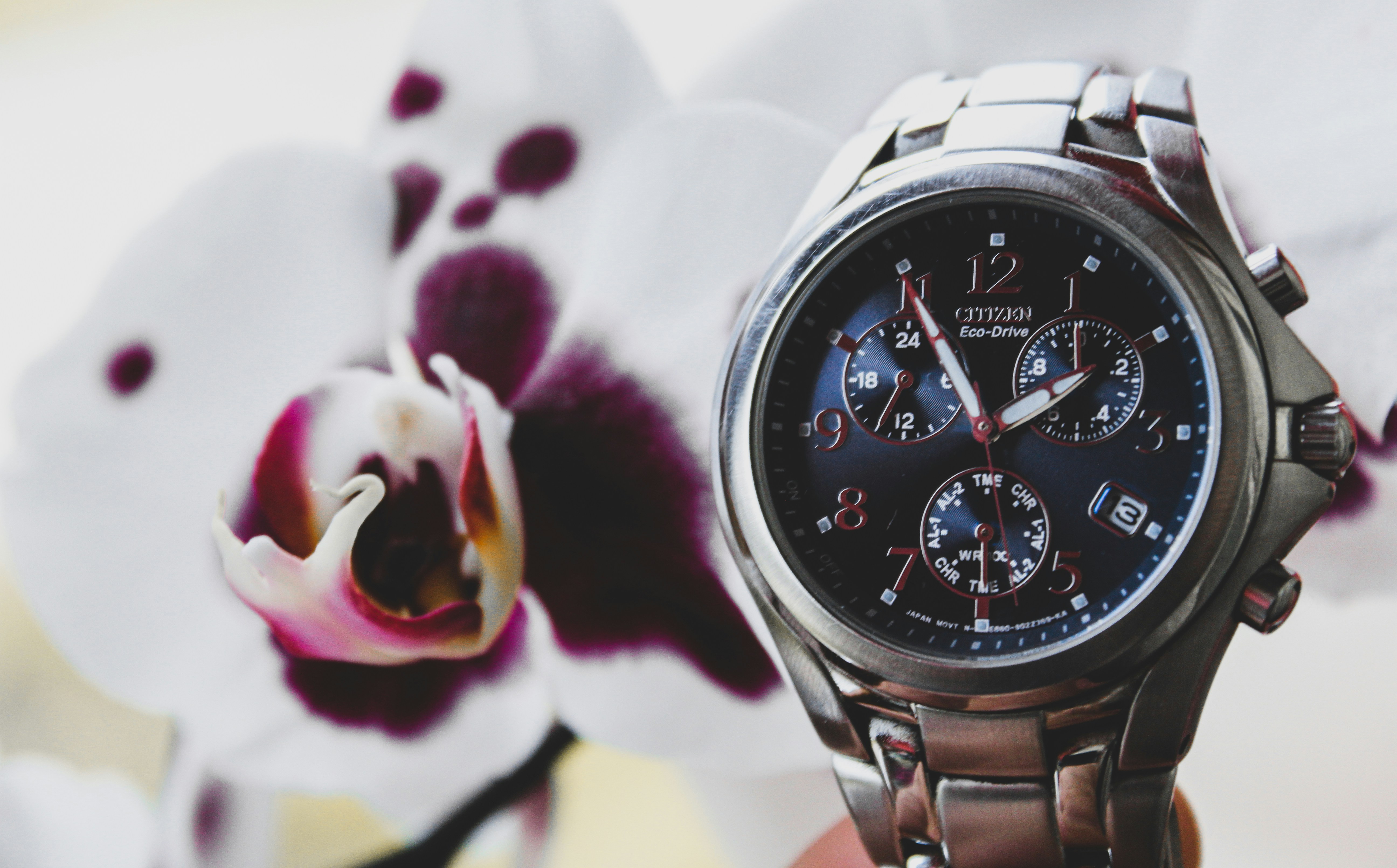 A close-up of a silver chronograph watch set against a delicate orchid, highlighting the contrast between mechanical precision and natural beauty.