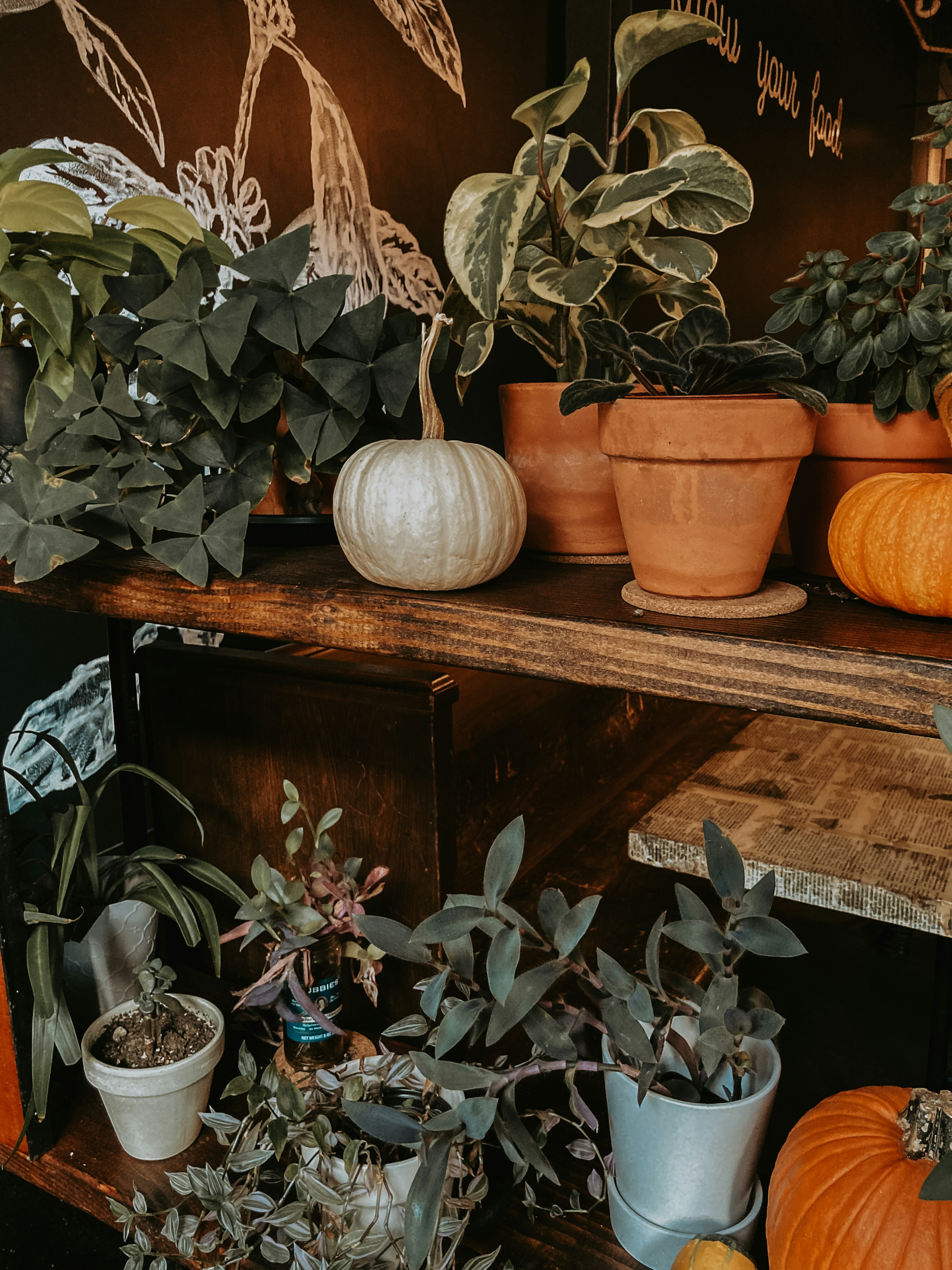 Quiet Harvest: White Pumpkin Anchors a Foliage-filled Shelf