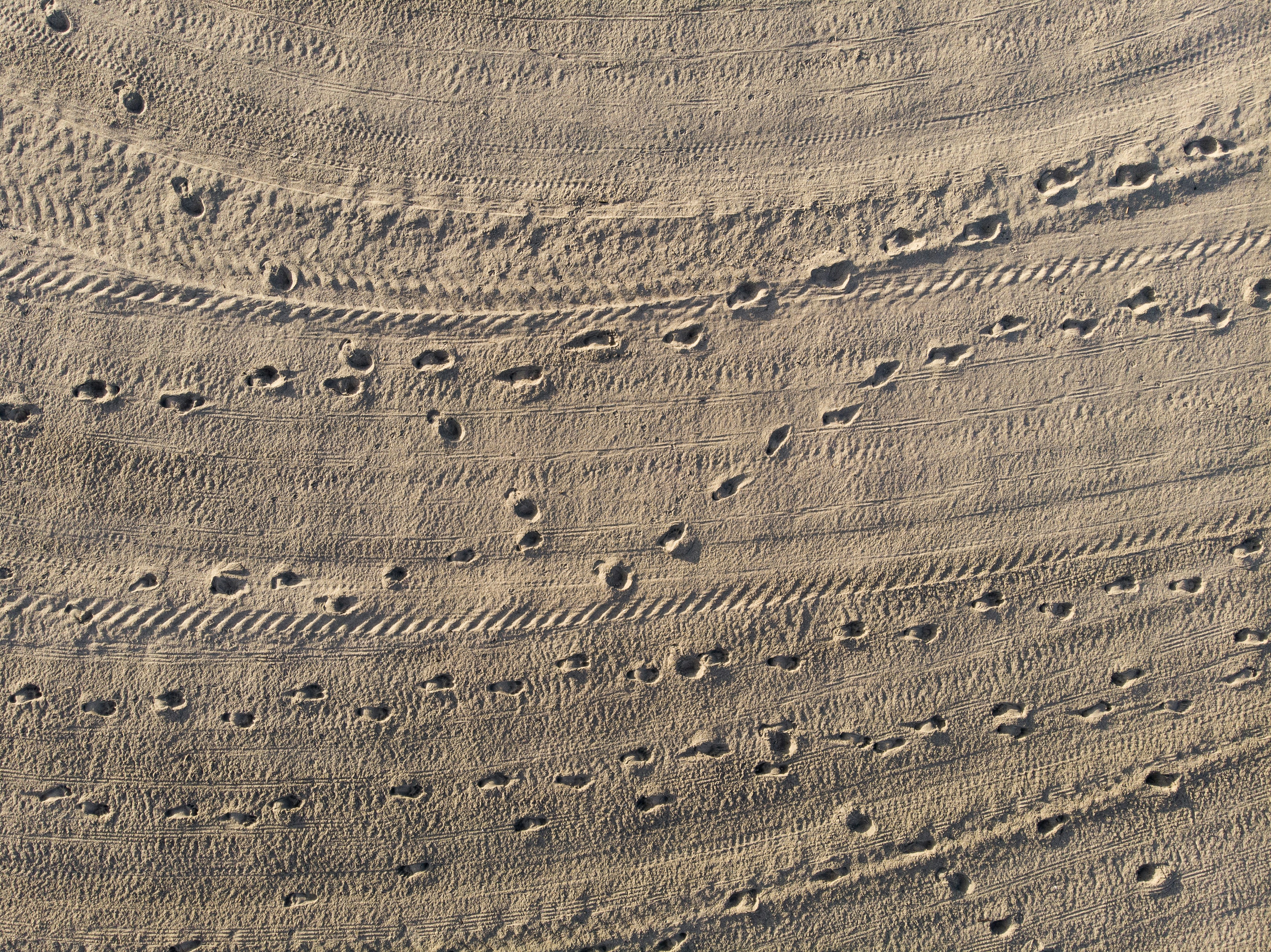 Wind-etched Trails: Footprints Across a Sunlit Sand Field