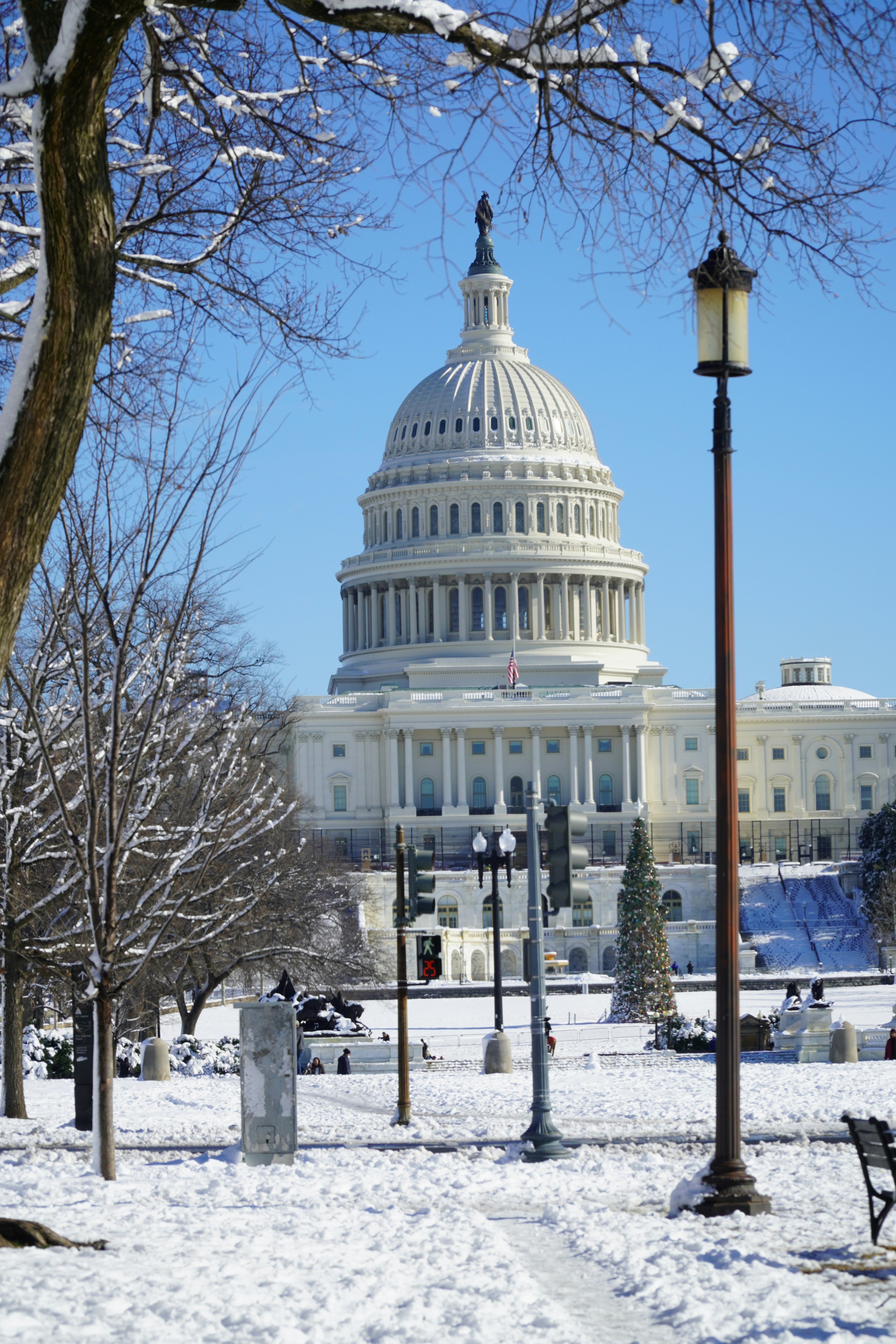 A view of the capitol building in the snow photo – Free Dc Image on ...