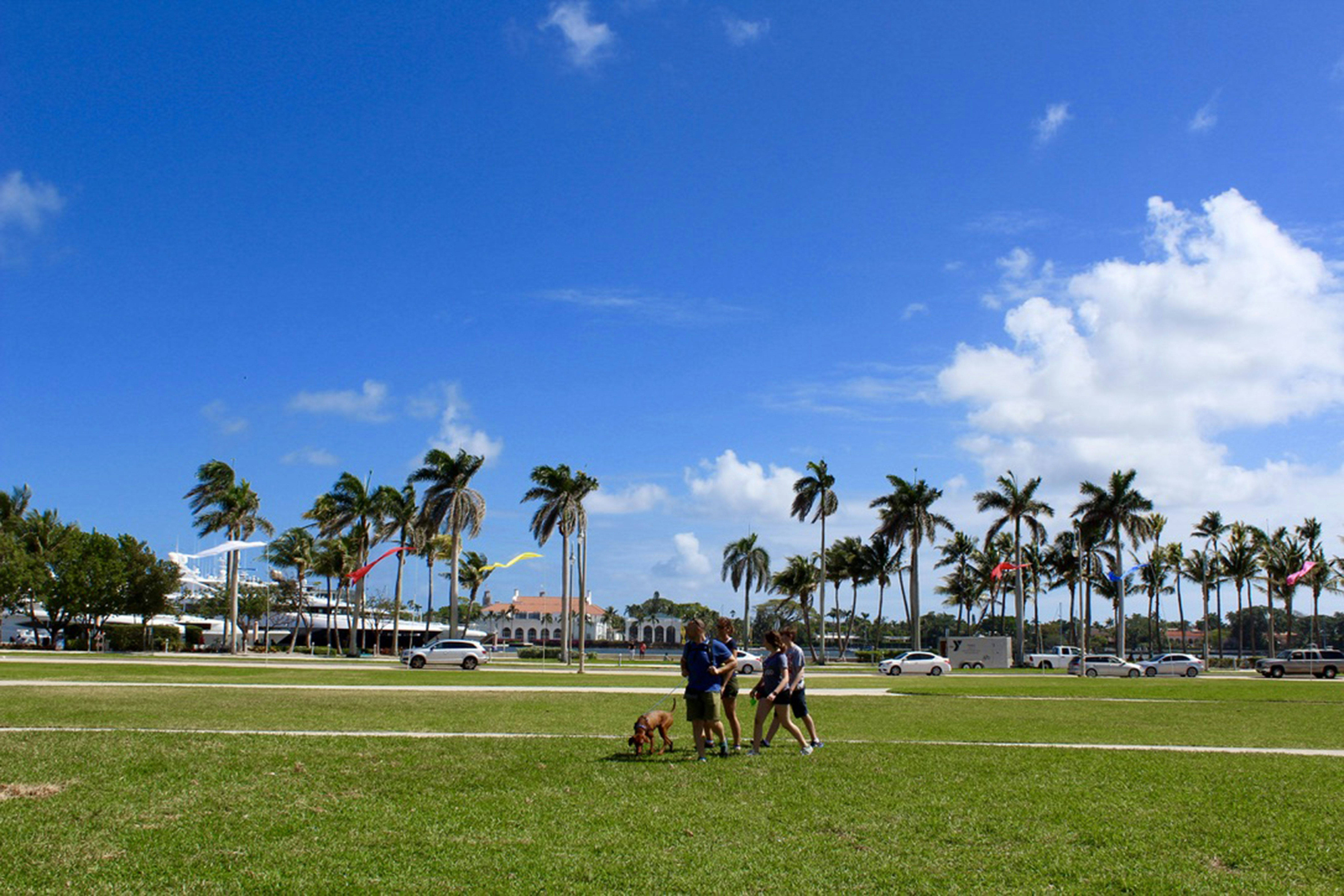 a group of people standing on top of a lush green field