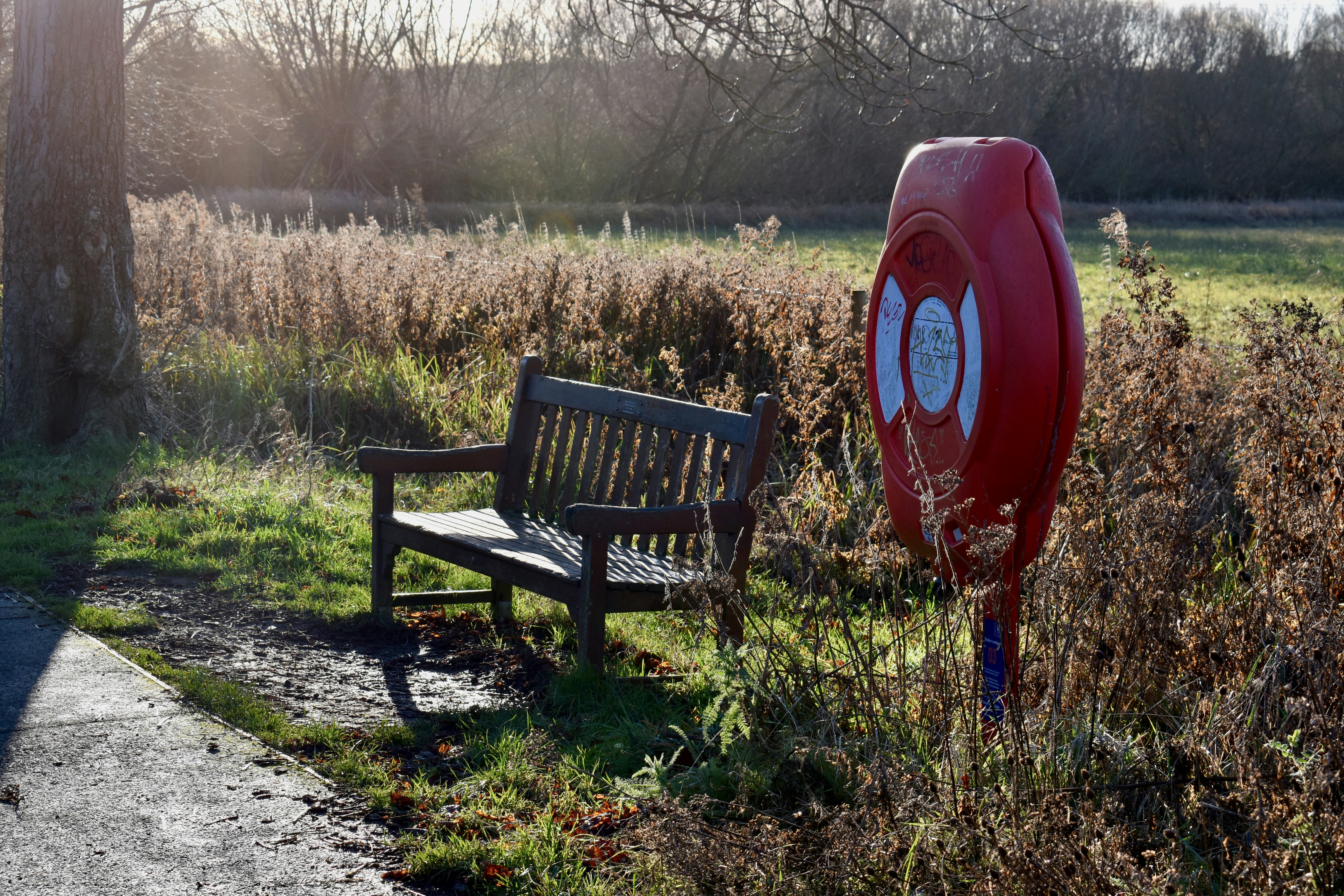 Bench by the Field with a Red Lifebuoy Shelter