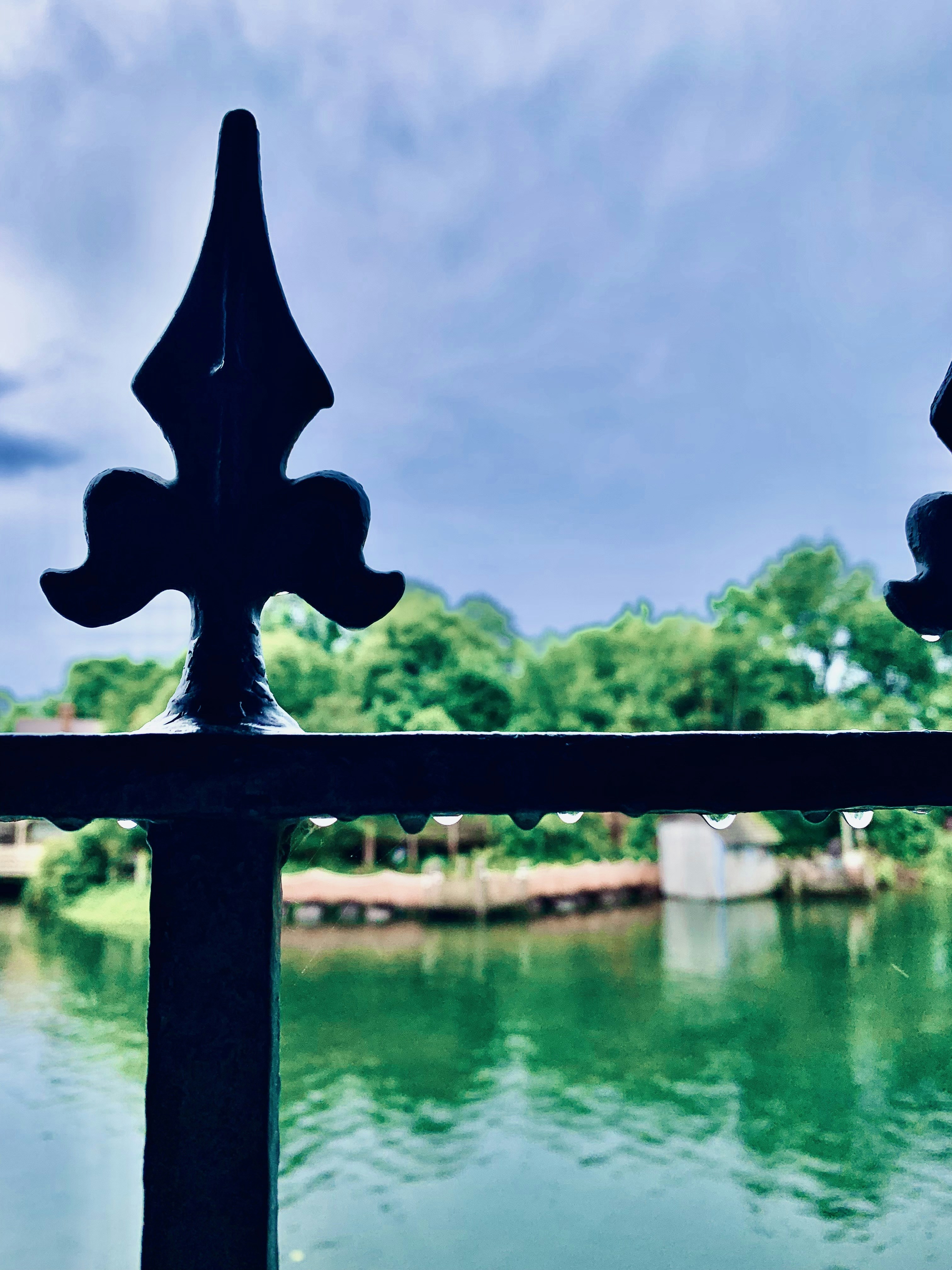 Rain on an iron gate