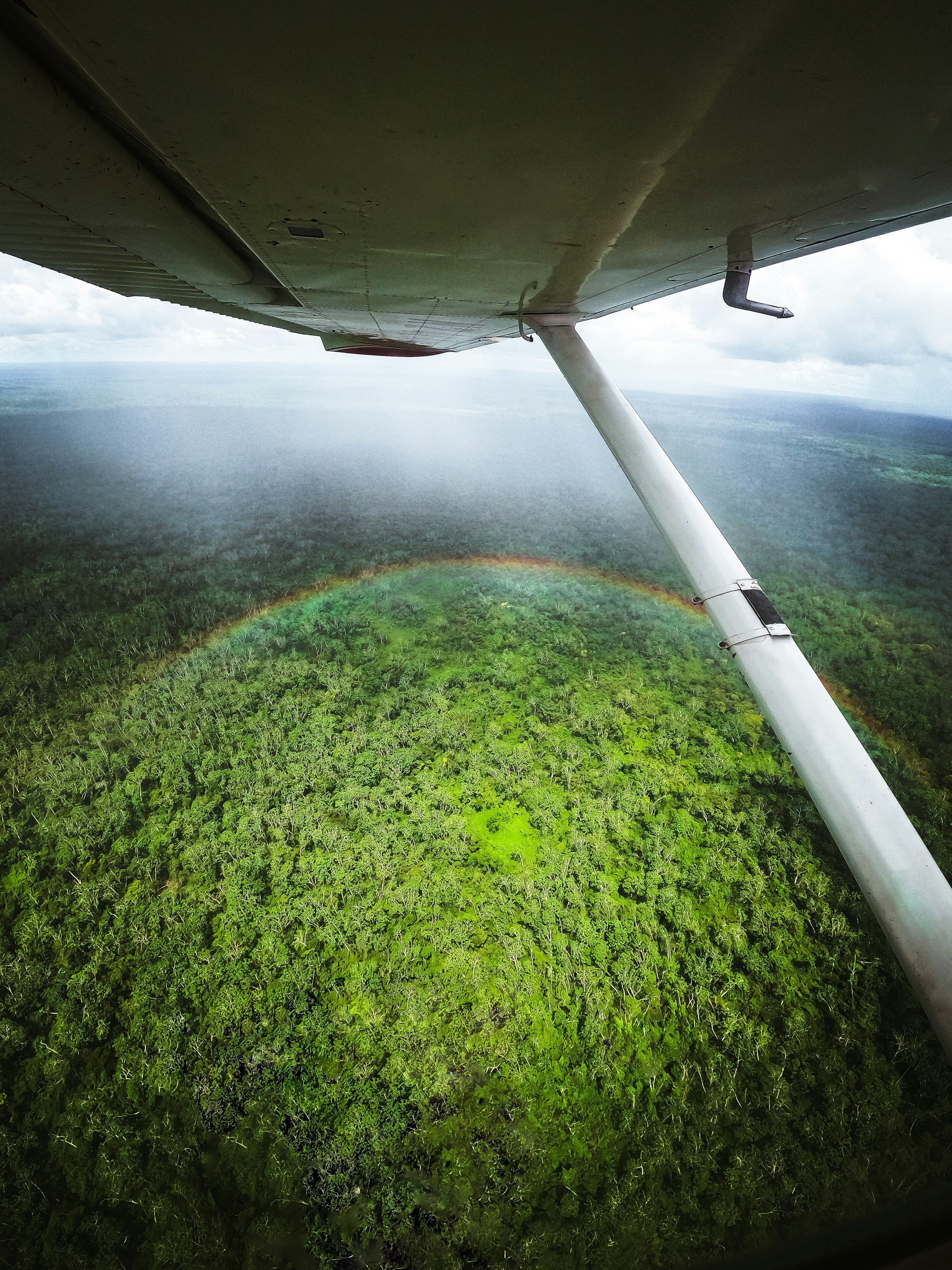 Aerial photograph from a light aircraft showing a lush forest canopy with a circular rainbow halo on the ground beneath the wing.