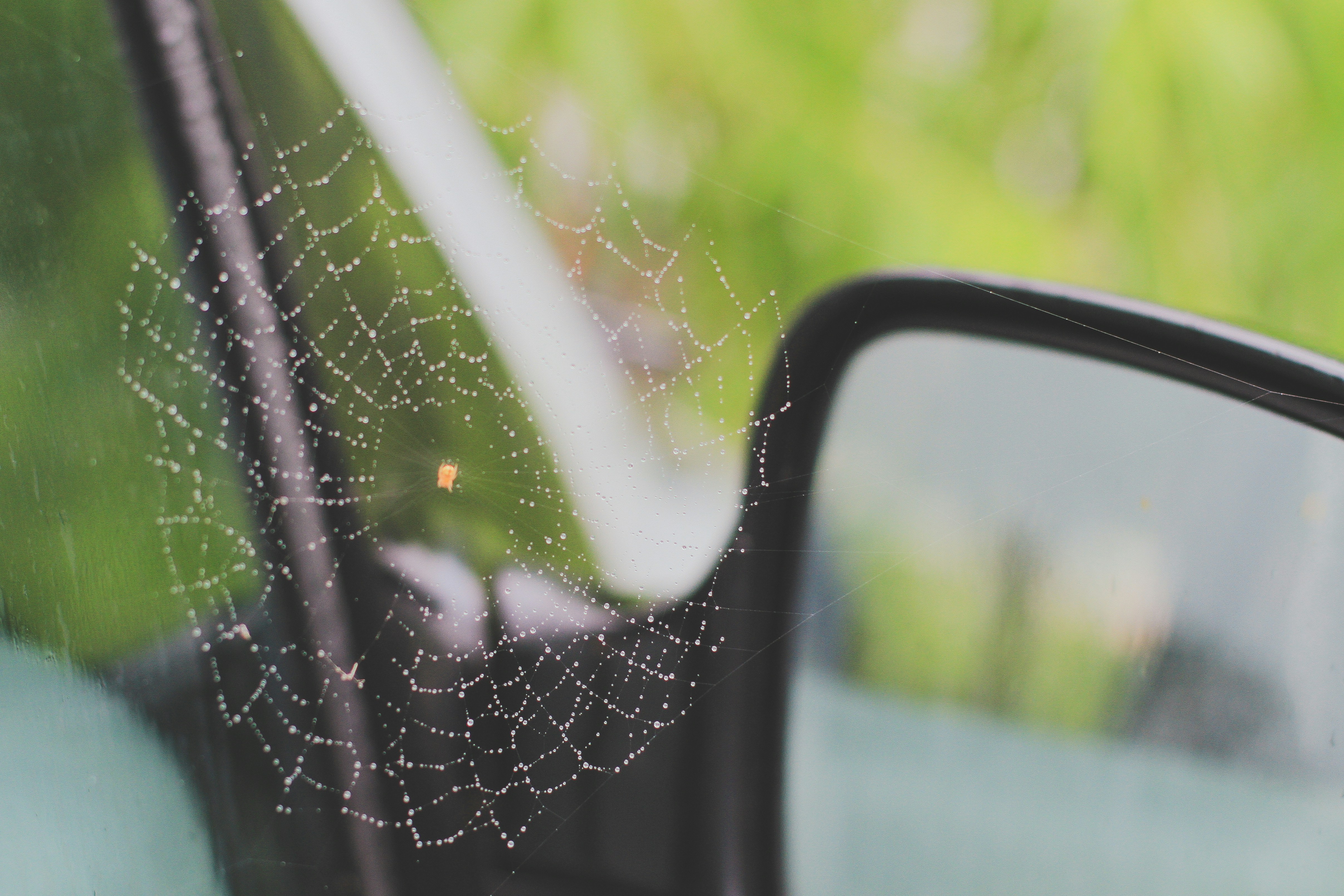 Dew-Kissed Spiderweb Framing a Car Mirror at Dawn