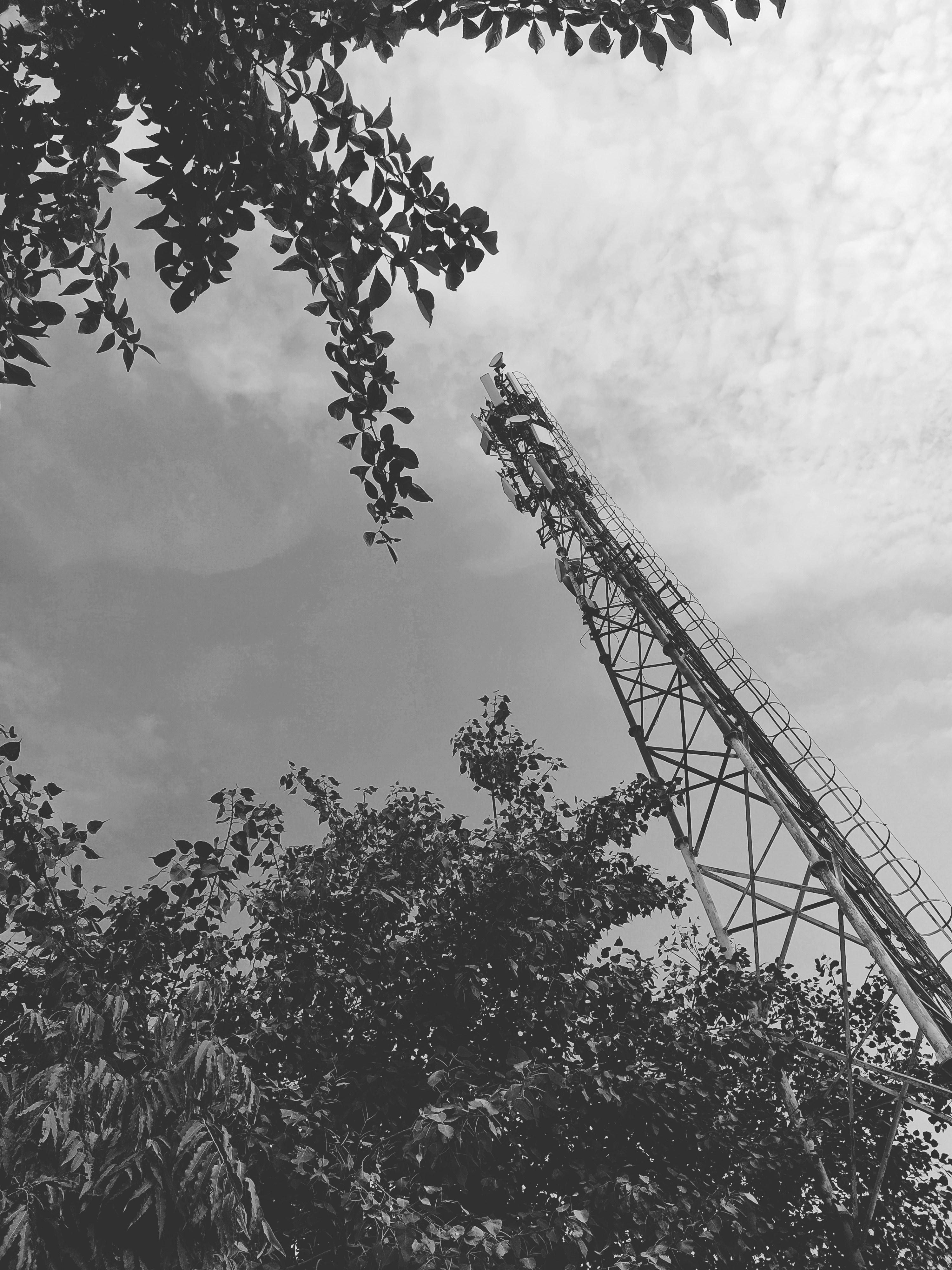 Communication tower rising above lush greenery under a cloudy sky, illustrating the intersection of technology and nature.