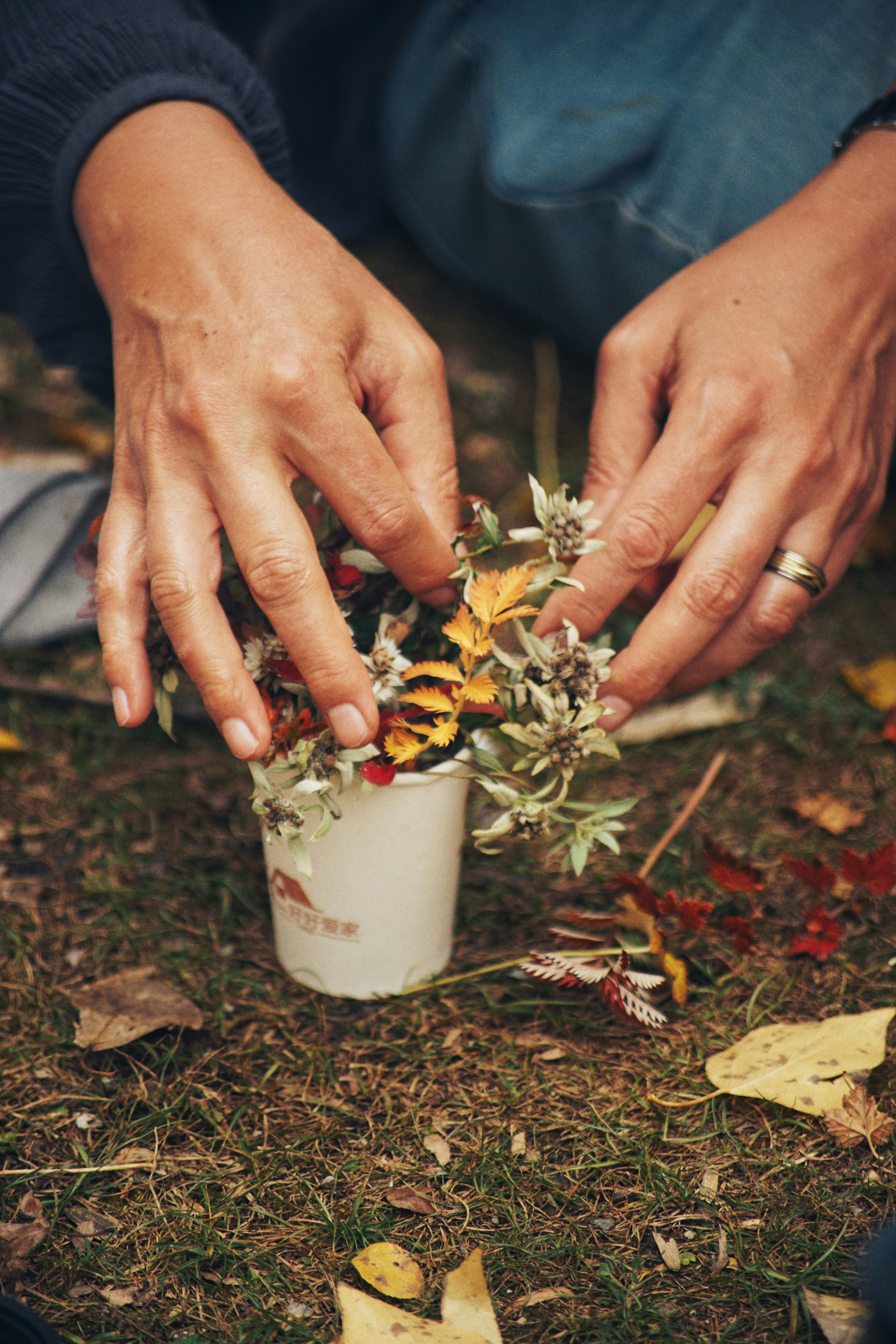 Hands Harvesting Autumn Flowers from a Tiny Cup