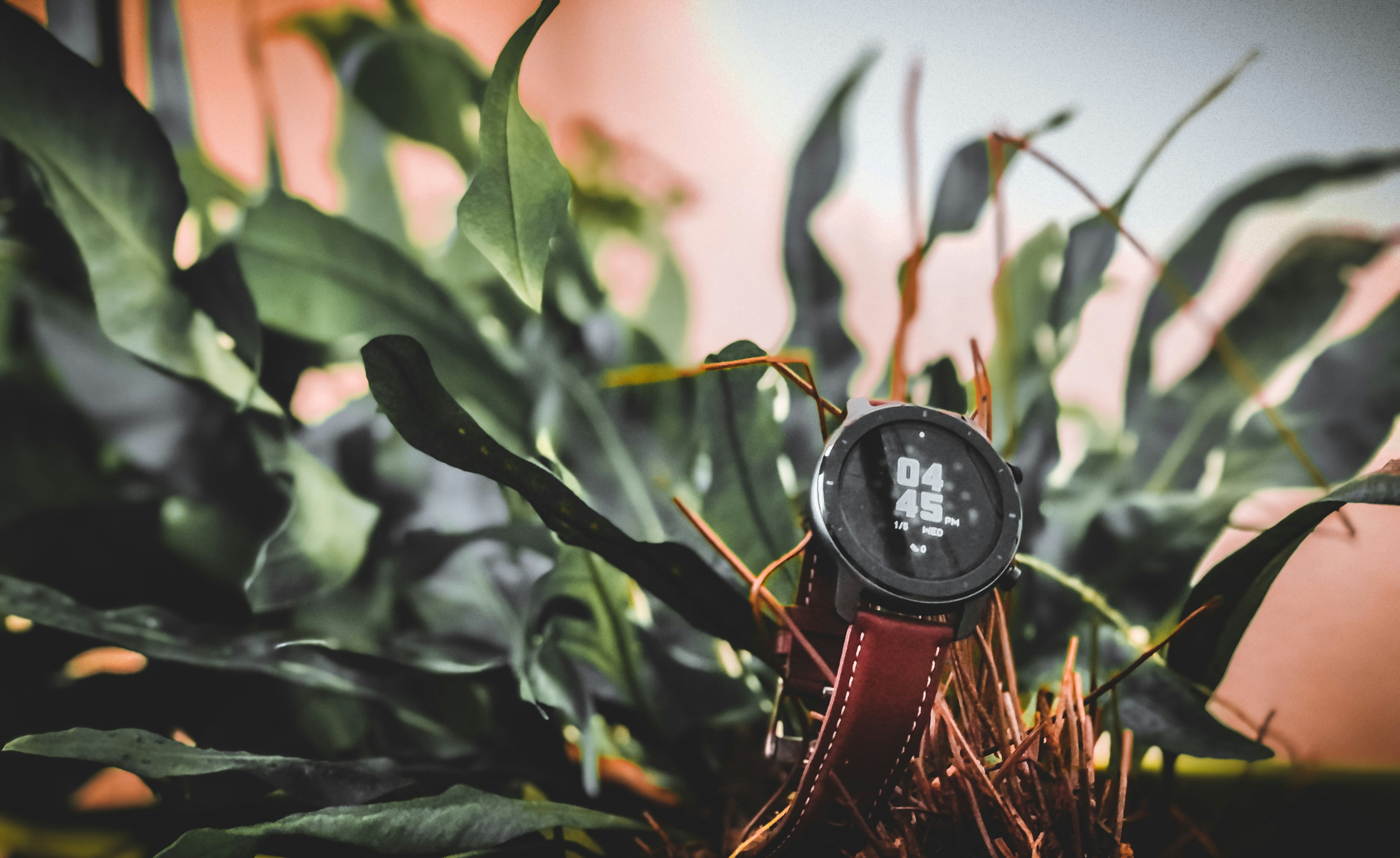 A stylish watch resting amidst lush green foliage, showcasing its modern design against a vibrant natural backdrop.