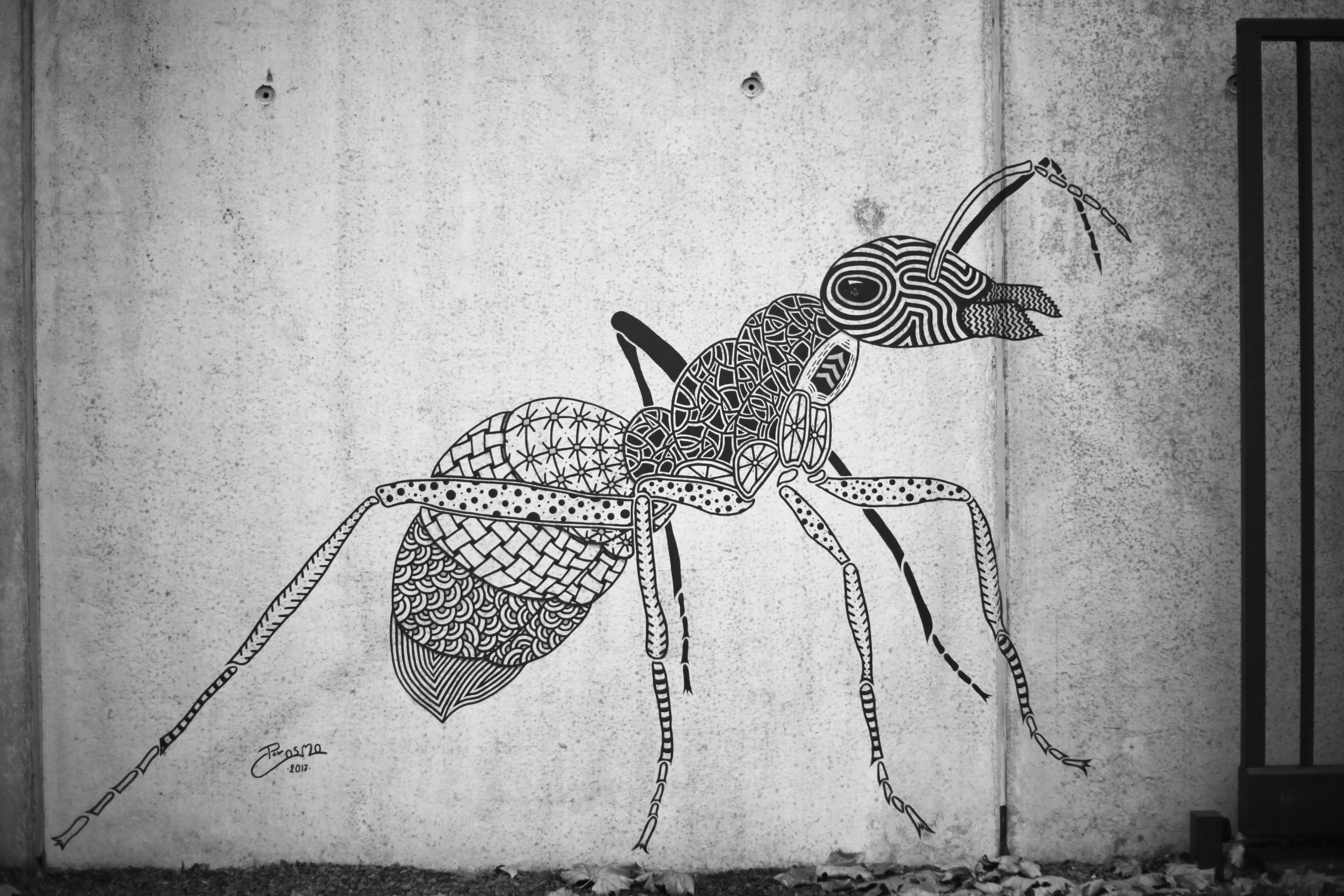 Graffiti mural of a patterned ant sprawling across a concrete wall. Intricate linework fills the ant's body with tessellations.