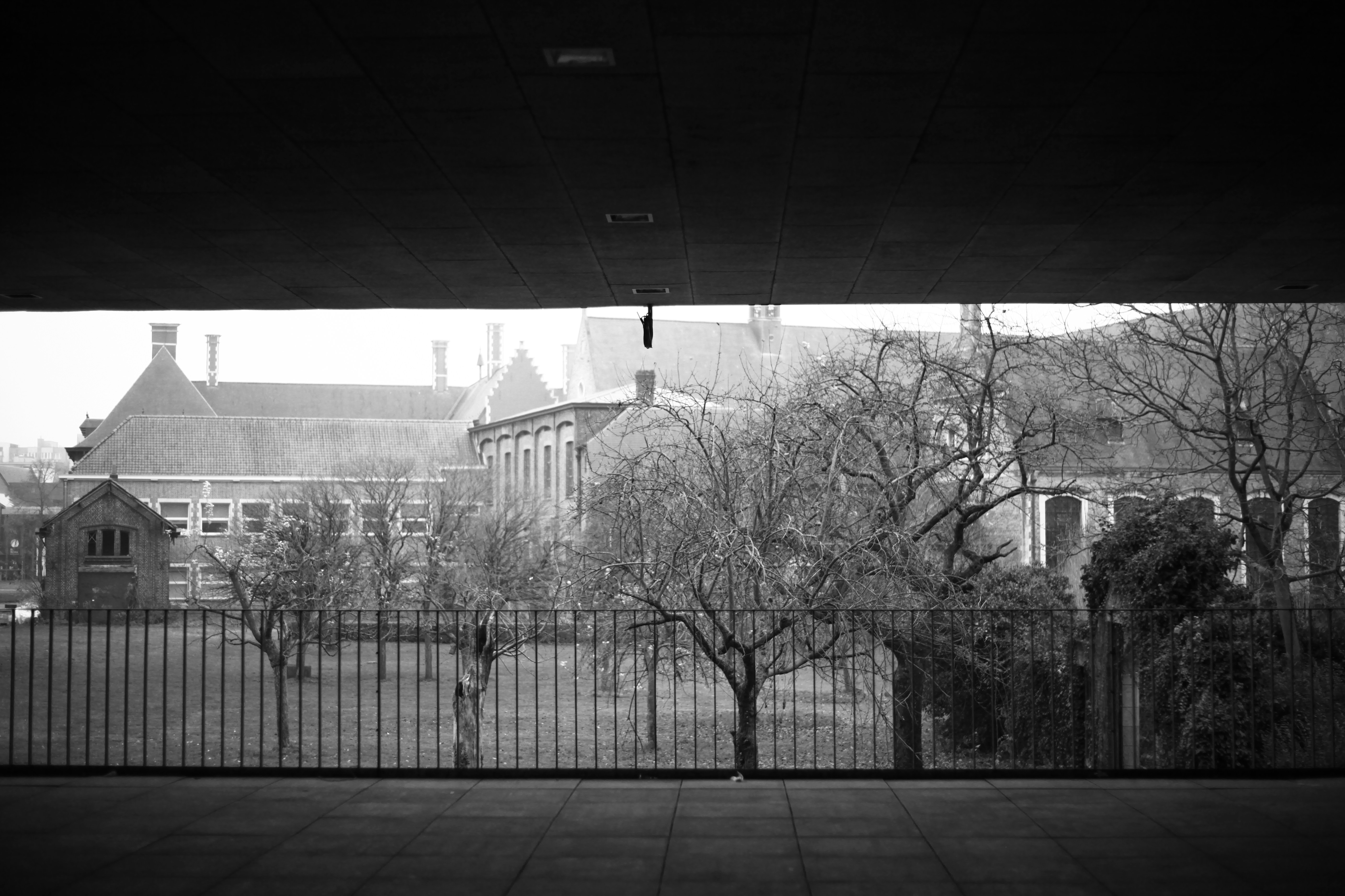 A black and white photo of a building and trees photo – Free Gent ...