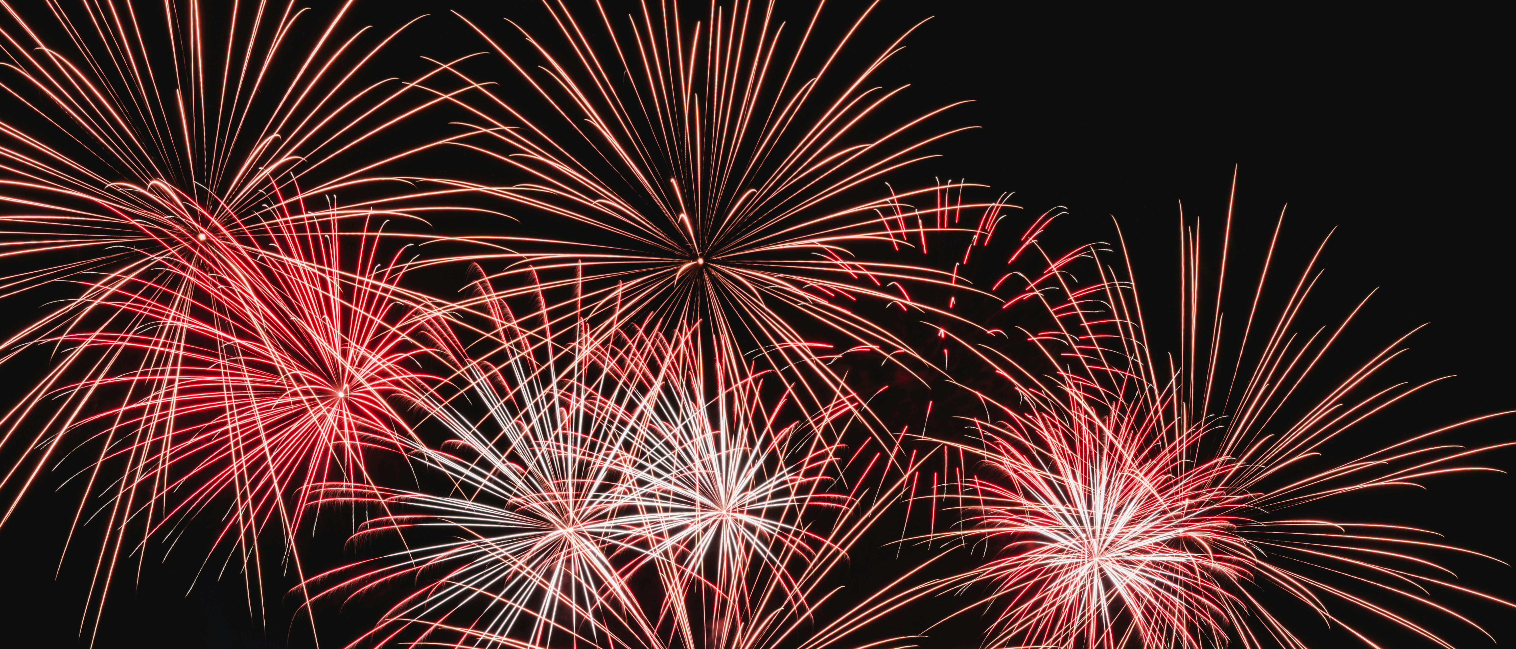 Our New Year Zoom Party! - Aimee Liu's MFA Lore