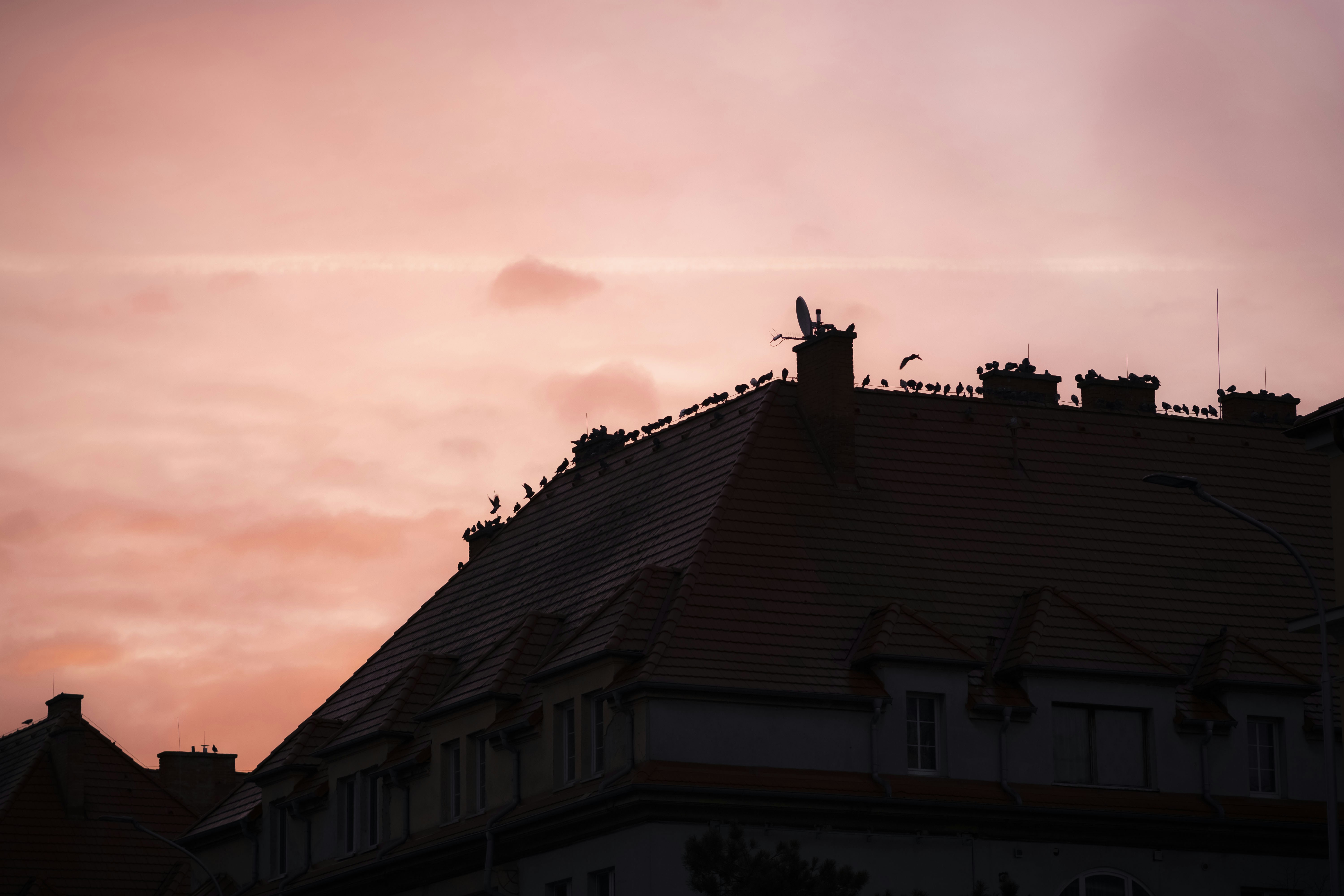 Peach Dusk Over Rooftops: Silhouette at the City Edge