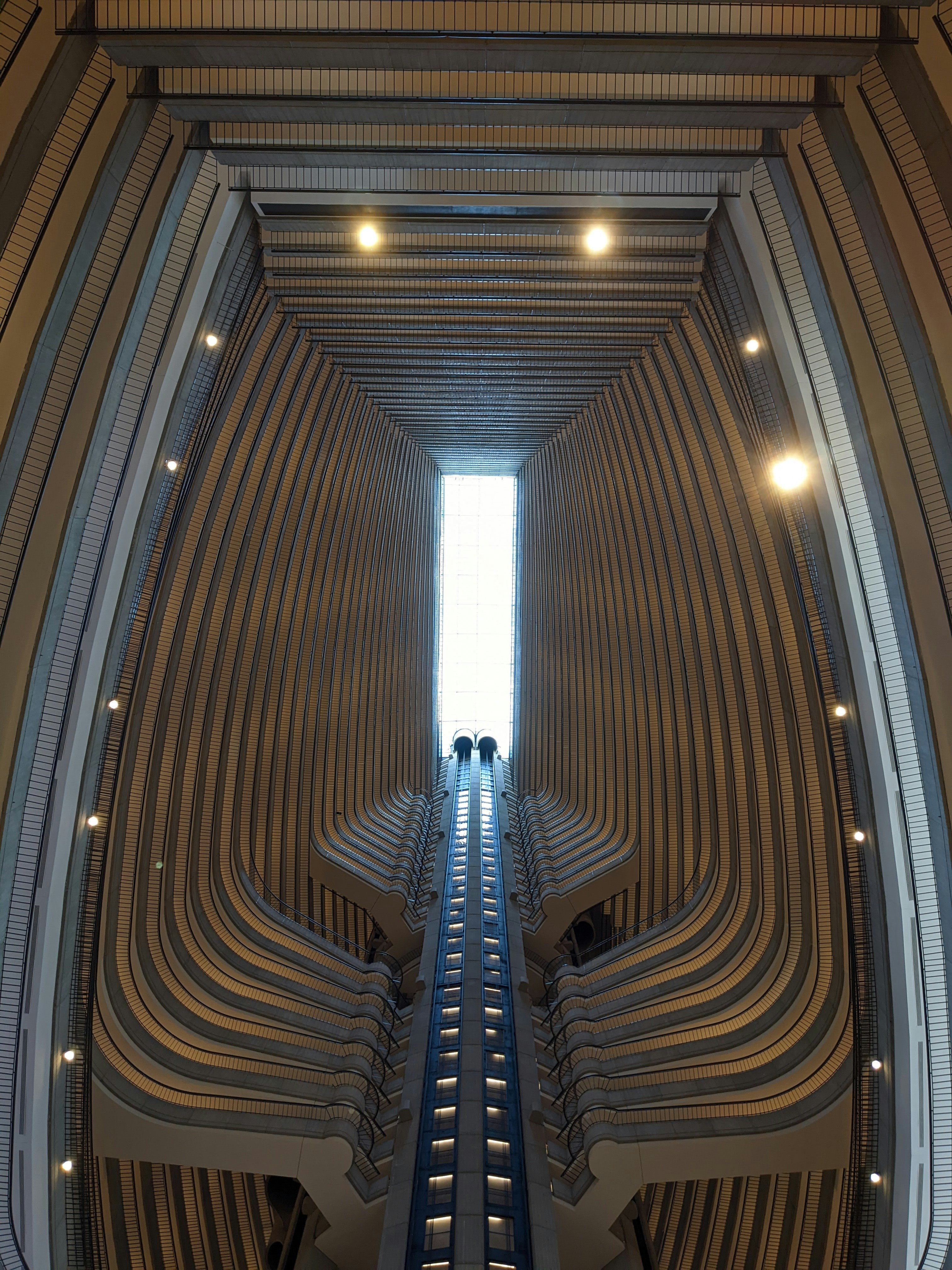Ribbed Ascent: Toward the Narrow Light at the Atrium's End