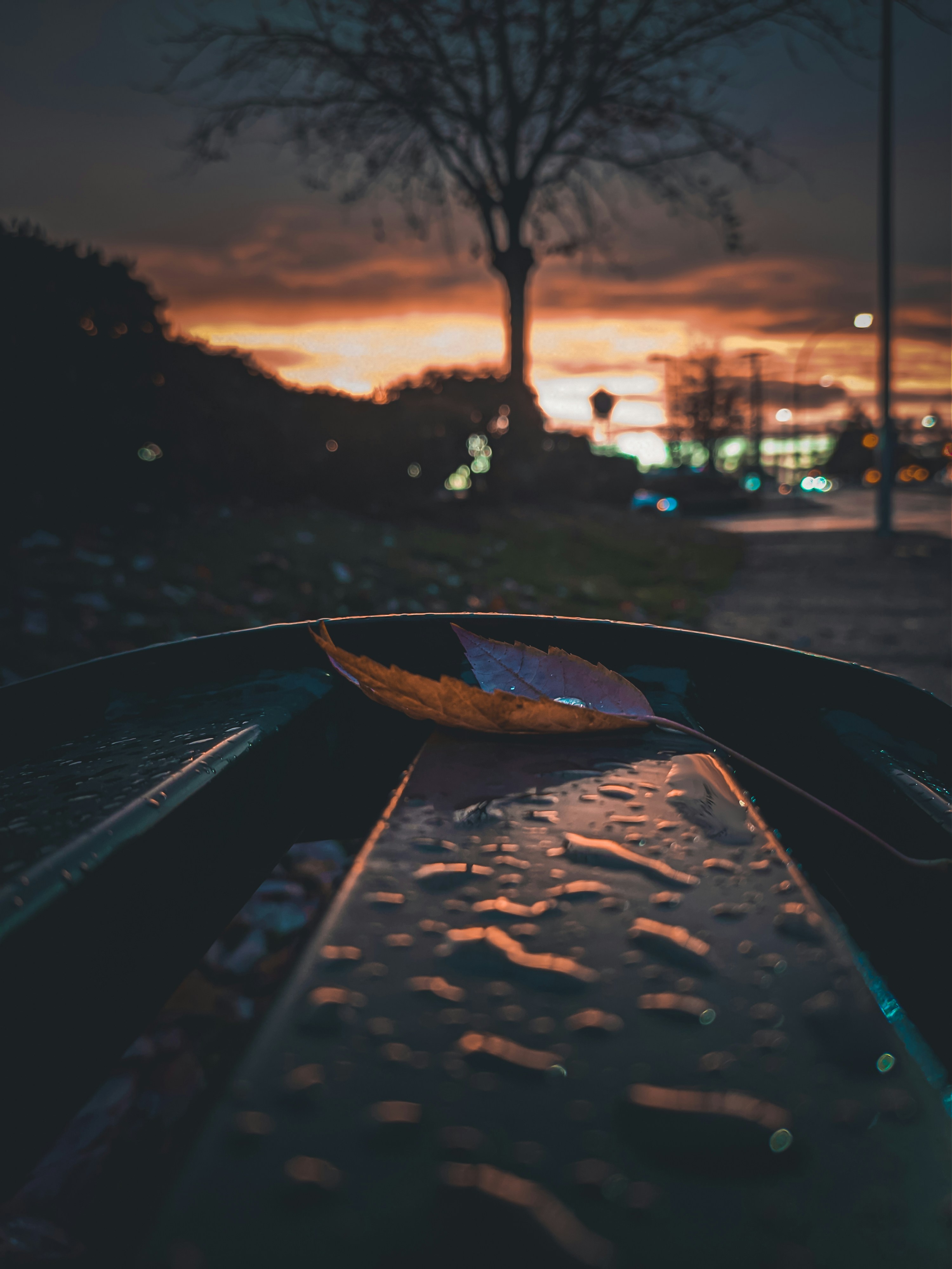 An Autumn Leaf on a Wet Railscape at Dusk