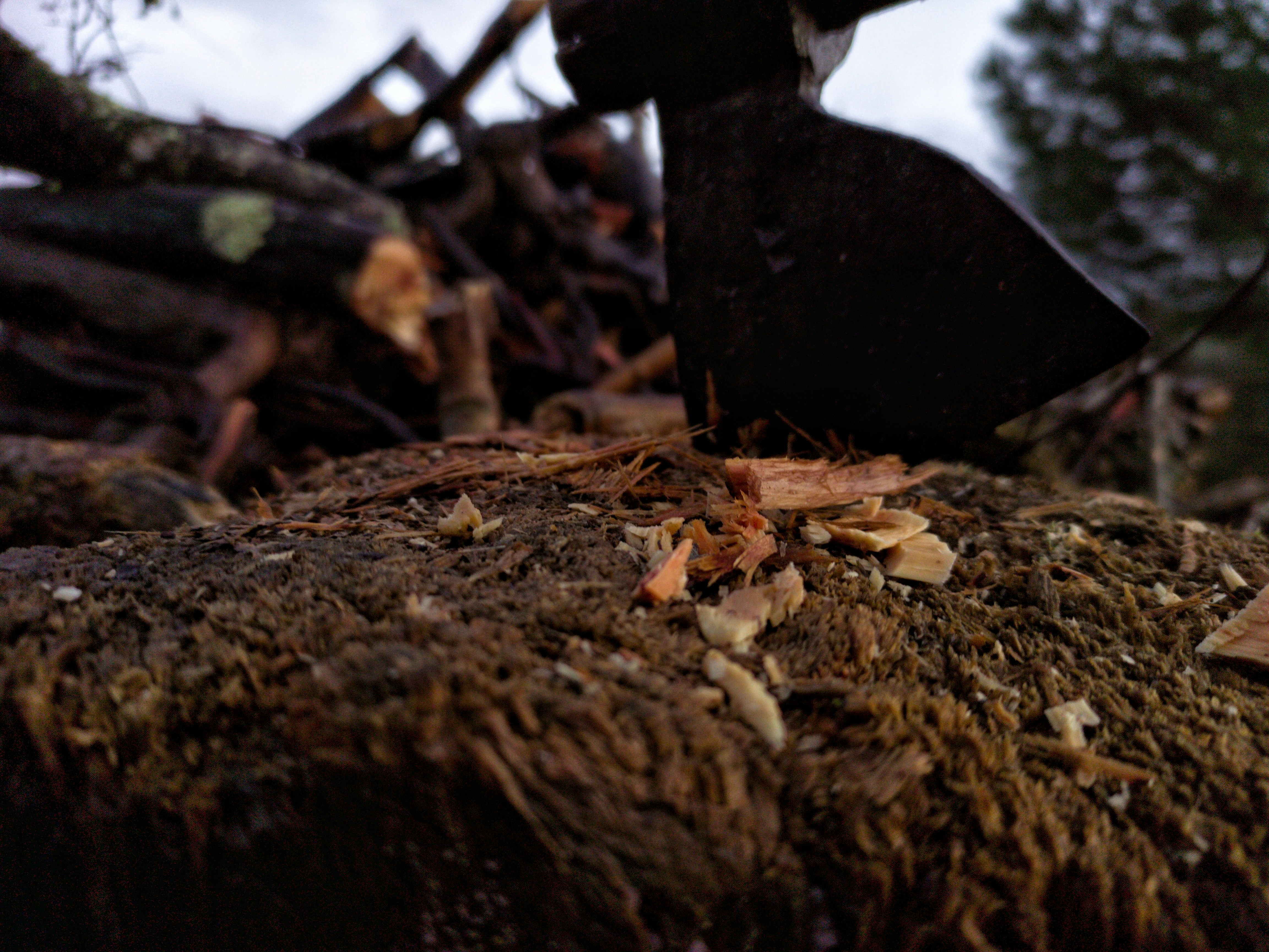 Xiaomi Mi 10T Lite Sample Shots