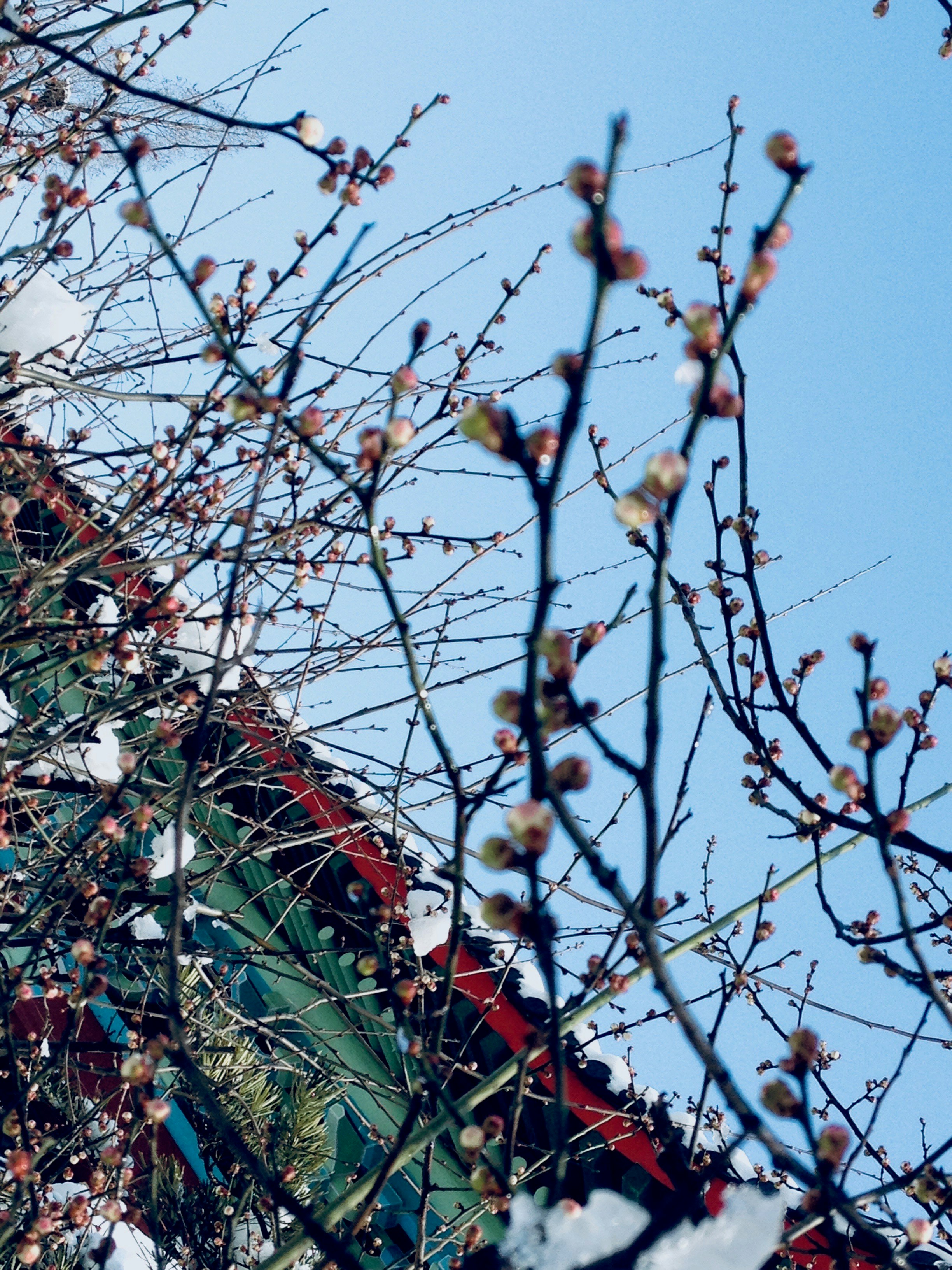 Joyce M. (@joyceillustrates) | Communauté photos Unsplash
