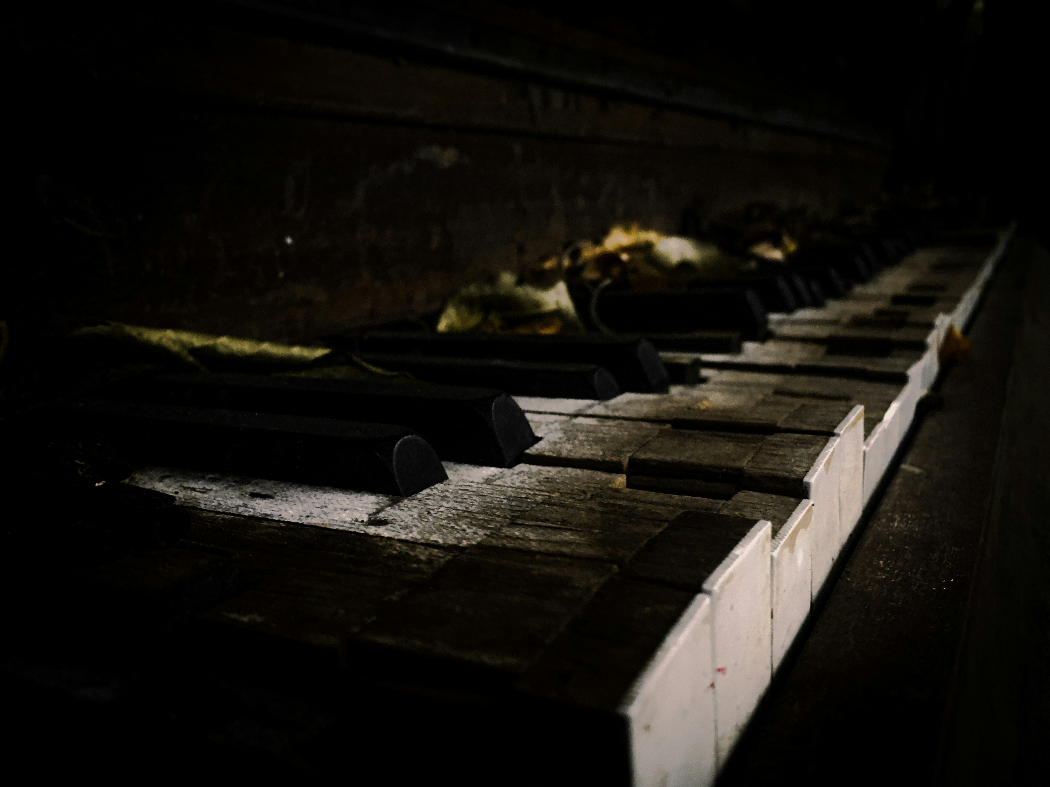 Abandoned piano in forest, New Zealand. 