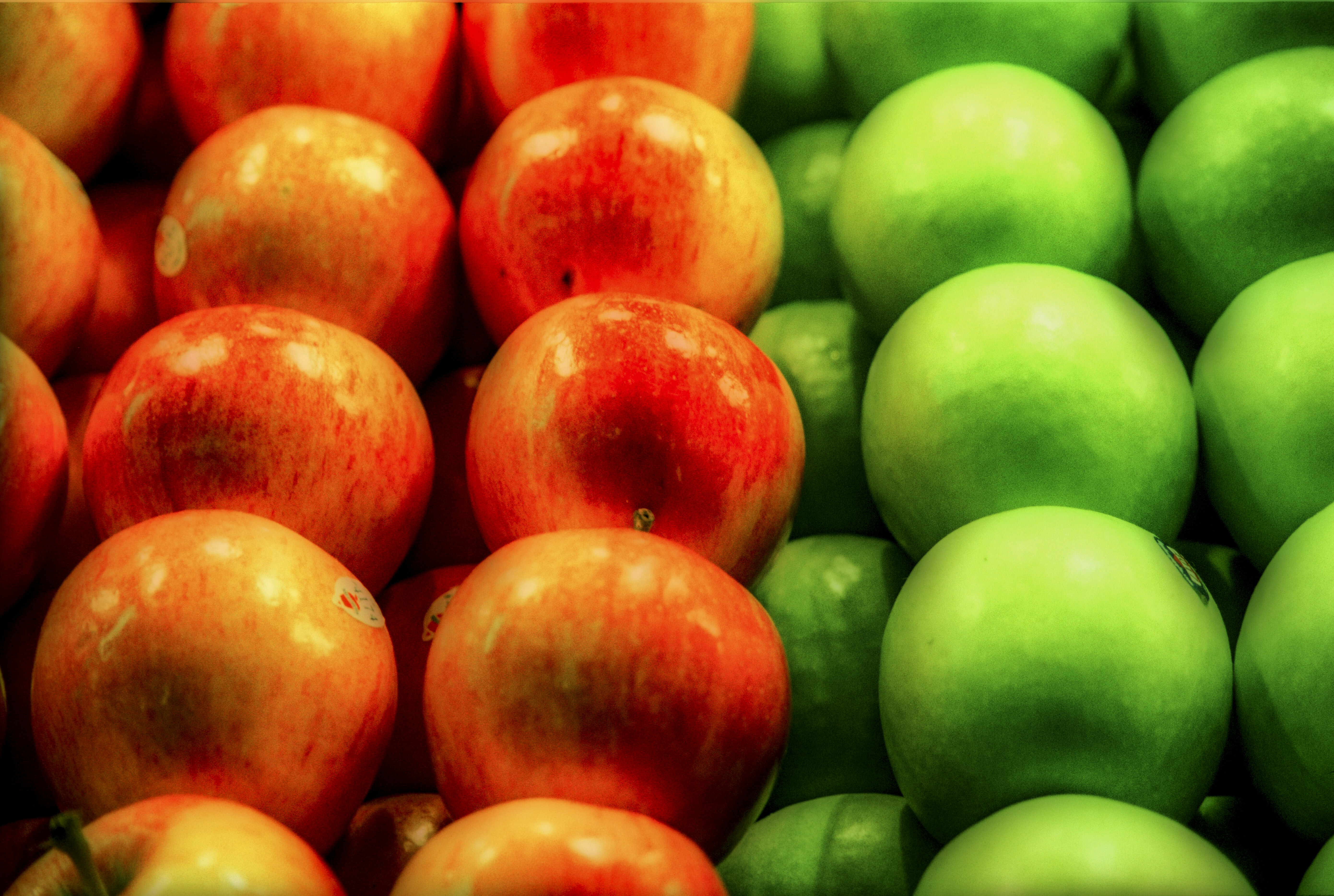 A pile of green and red apples next to each other photo – Free Seattle ...
