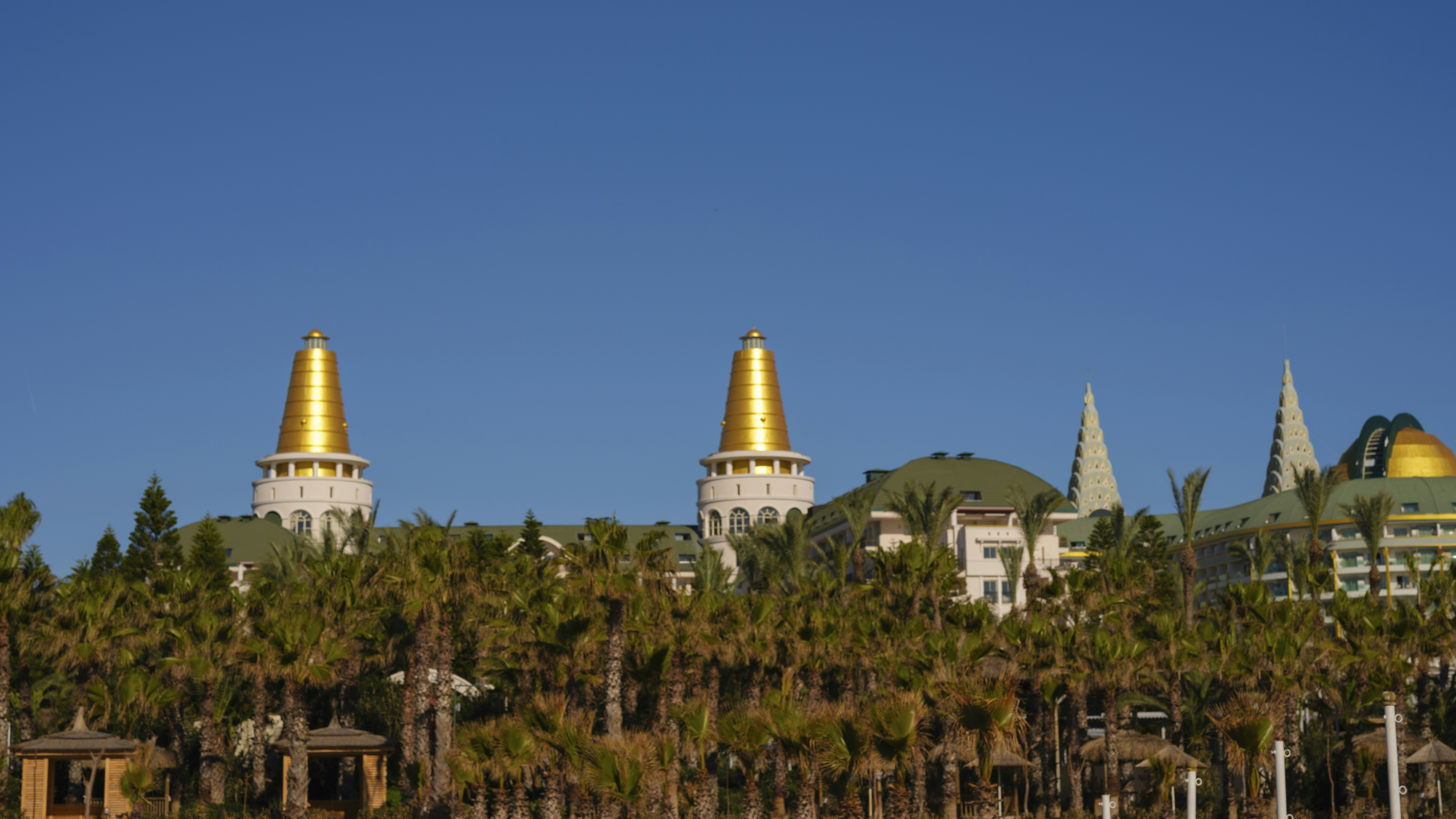Gold Spires Rise Over the Palm Canopy