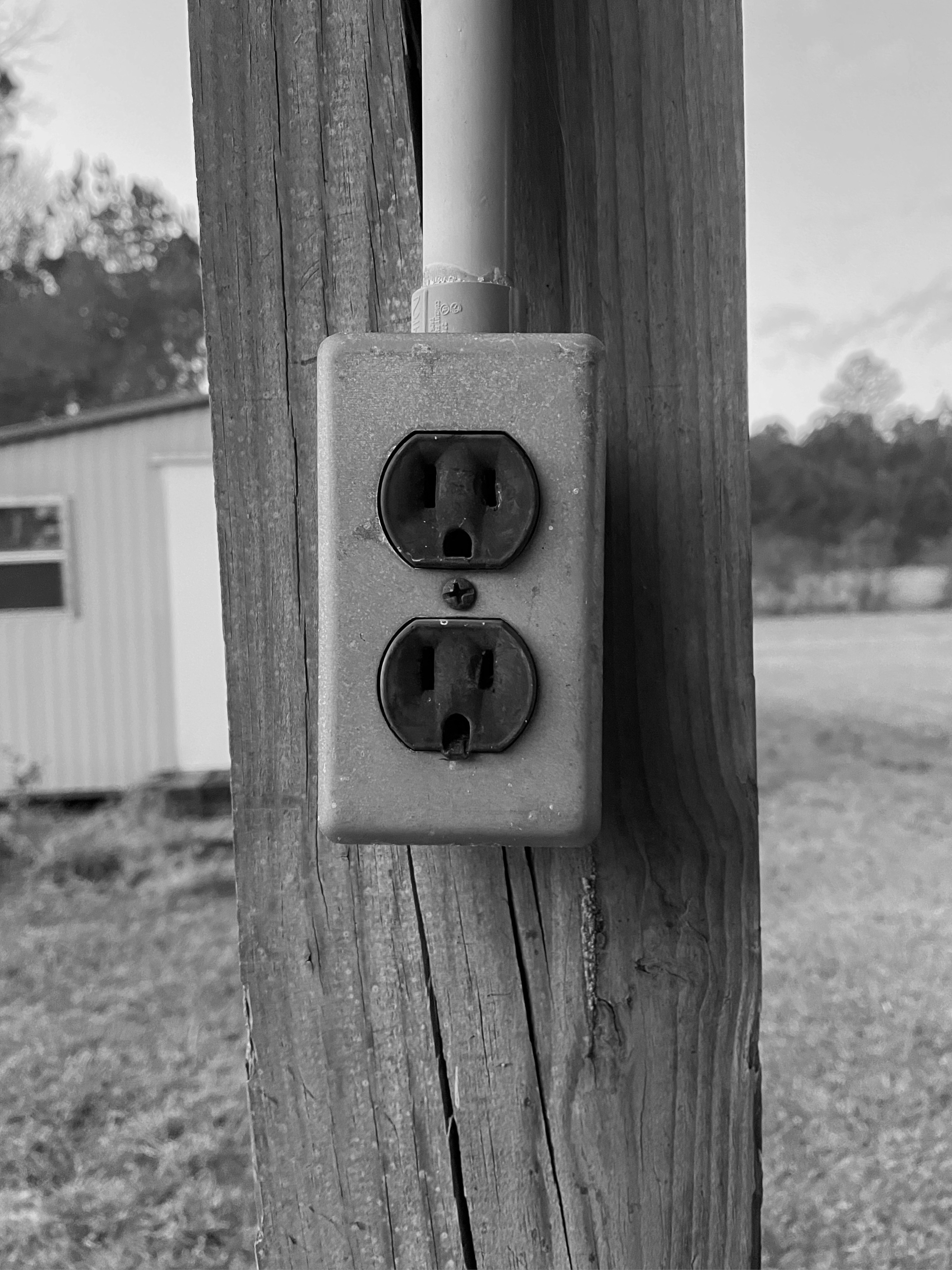 An outlet on a post | a black and white photo of an electrical outlet on a telephone pole